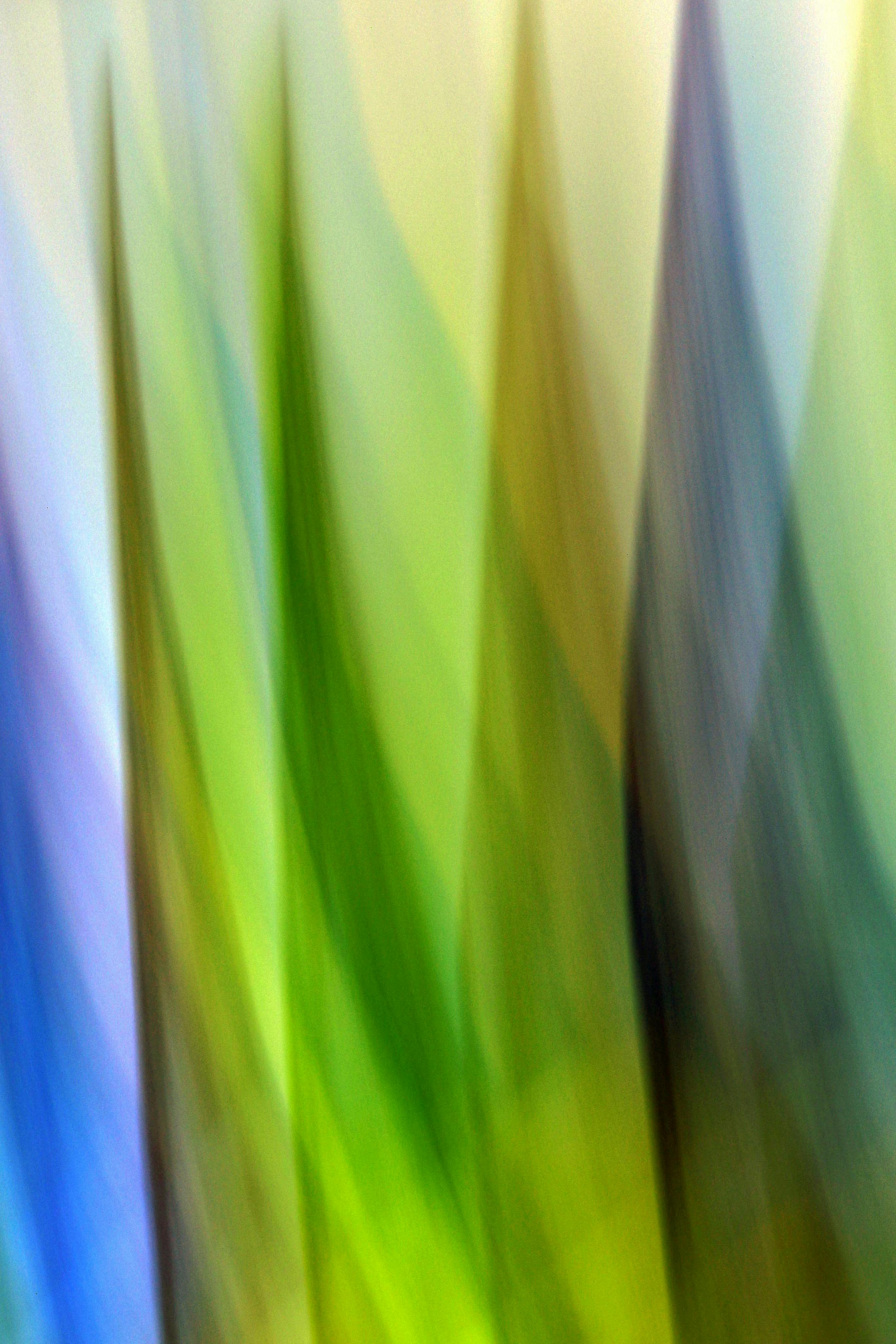 Abstract Colorful Motion Blur Art Print · Free Stock Photo