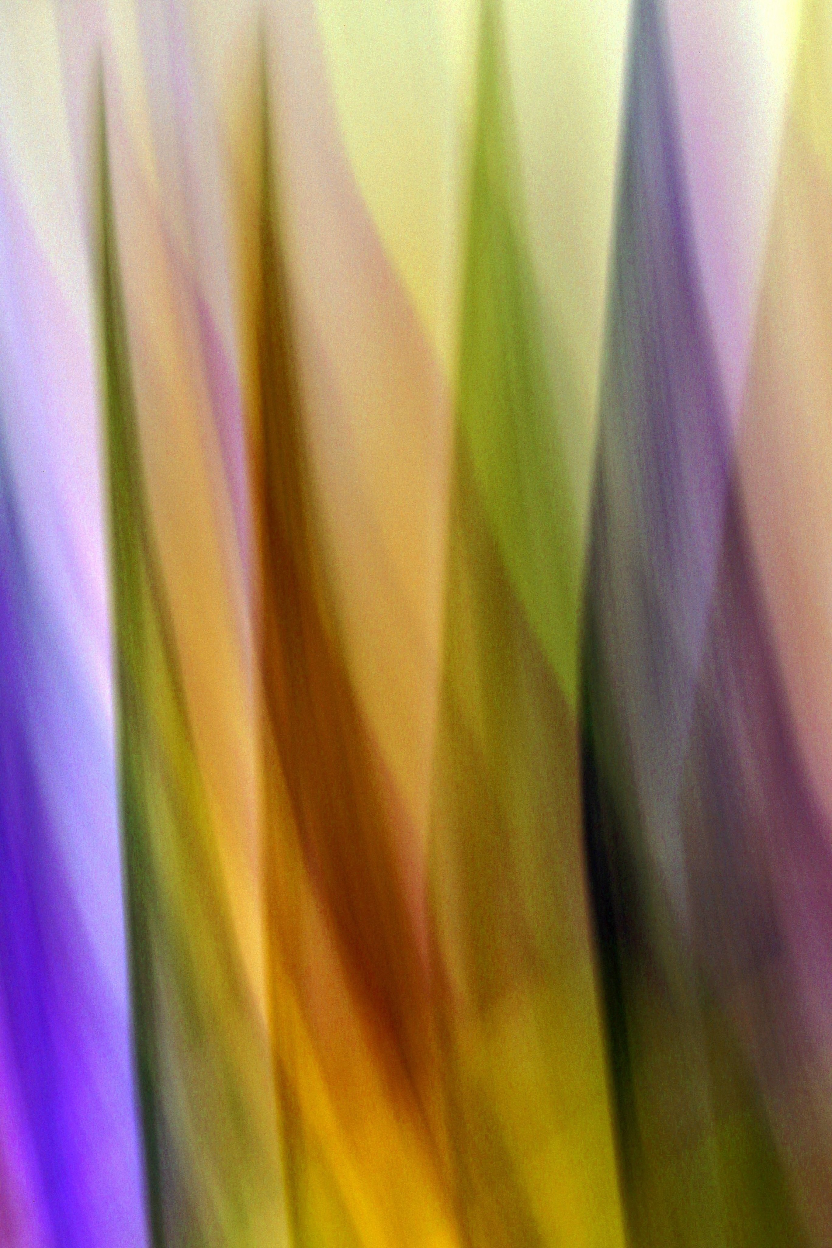 Soft Colour Background Photos, Download The BEST Free Soft Colour ...