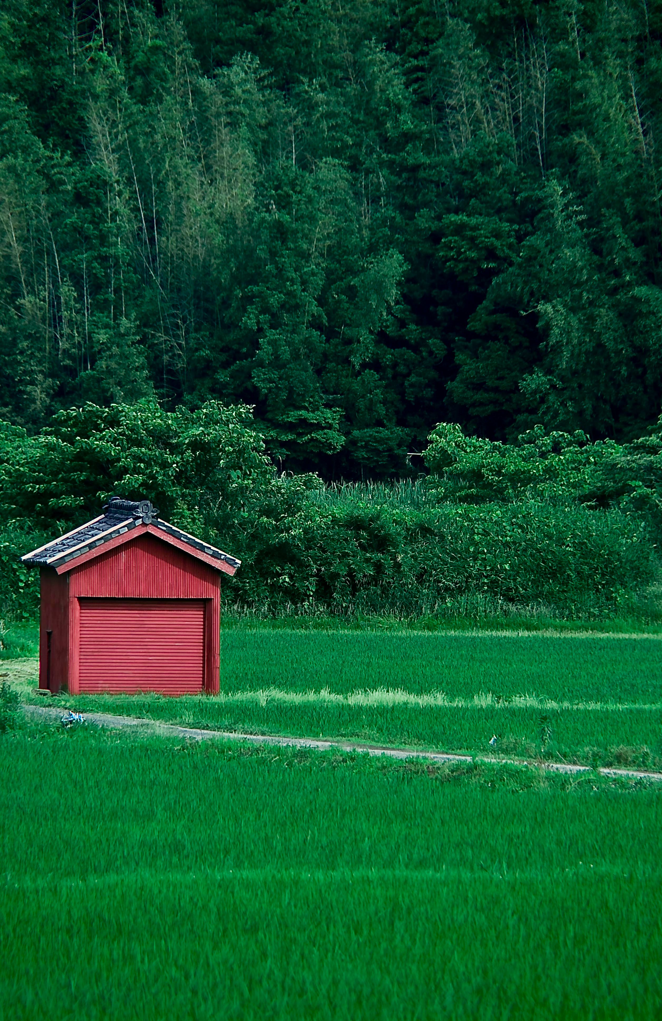 Render Shed Photos, Download The BEST Free Render Shed Stock Photos ...