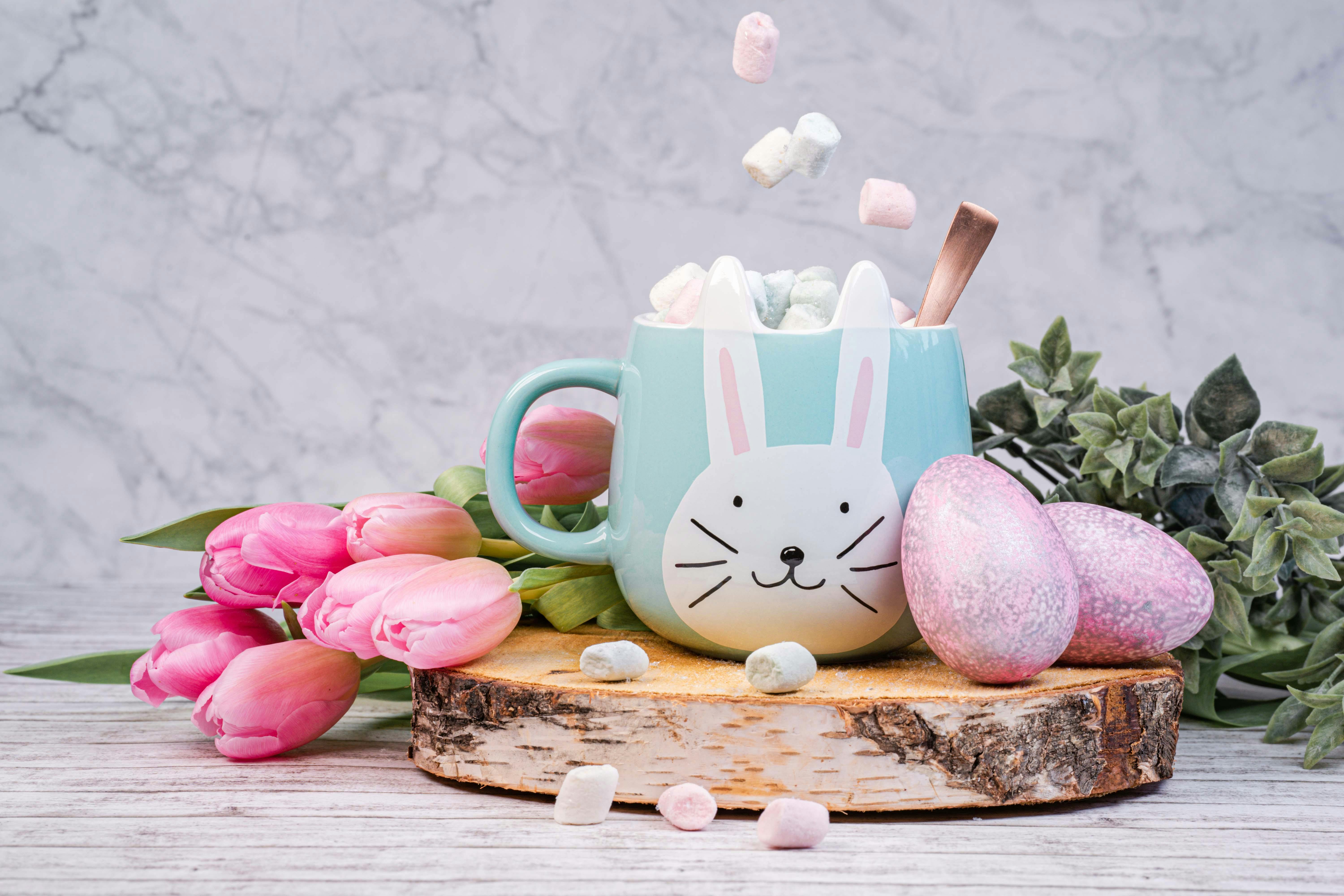 Cute Cute Photos, Download The BEST Free Cute Cute Stock Photos & HD Images