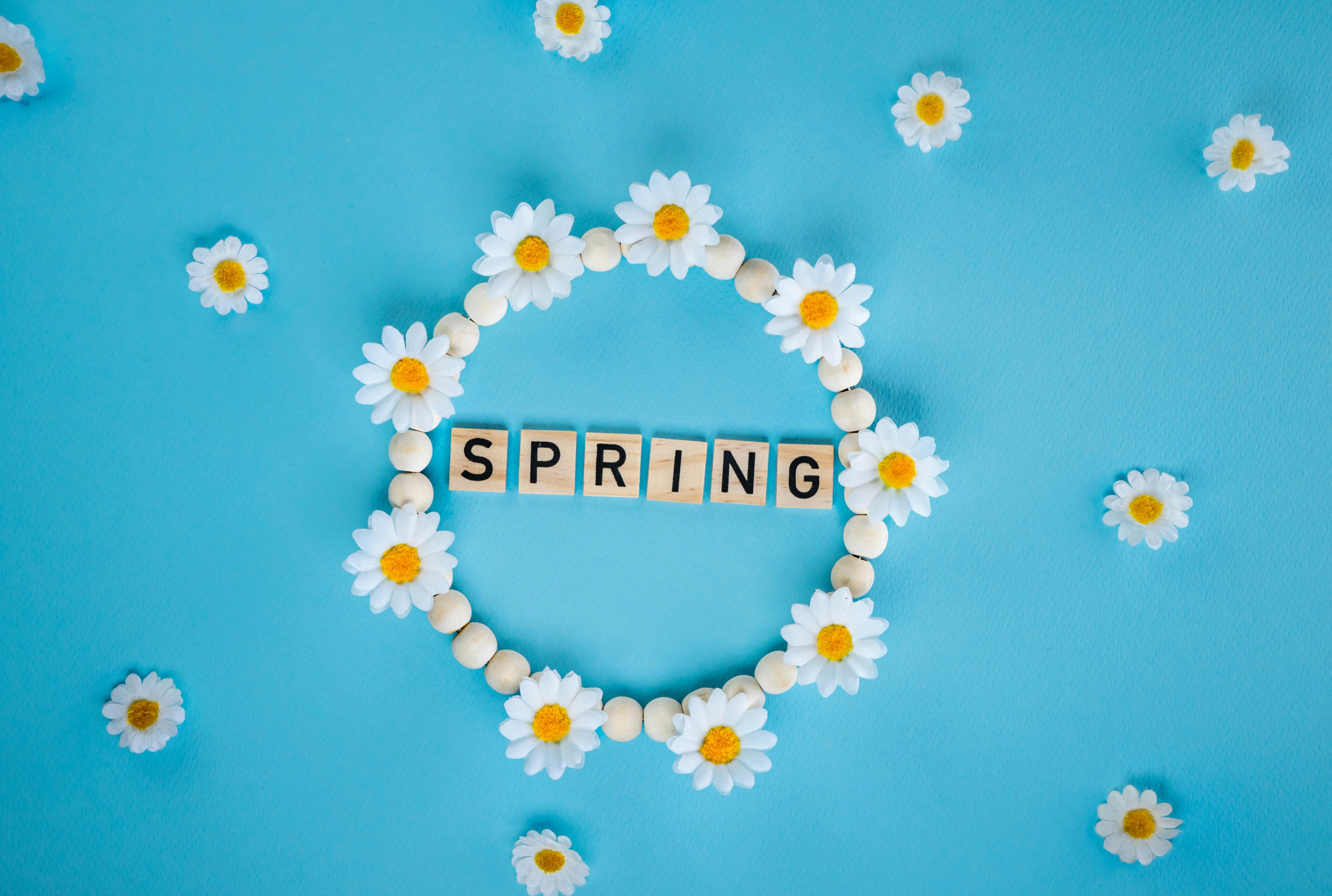 Spring Flower Arrangement on Blue Background · Free Stock Photo