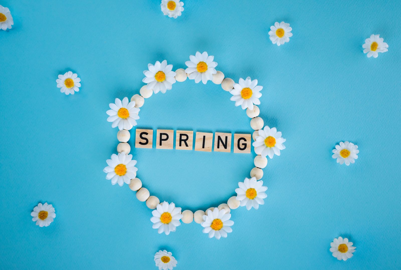 Happy+Friday+Spring Photos, Download The BEST Free Happy+Friday+Spring ...