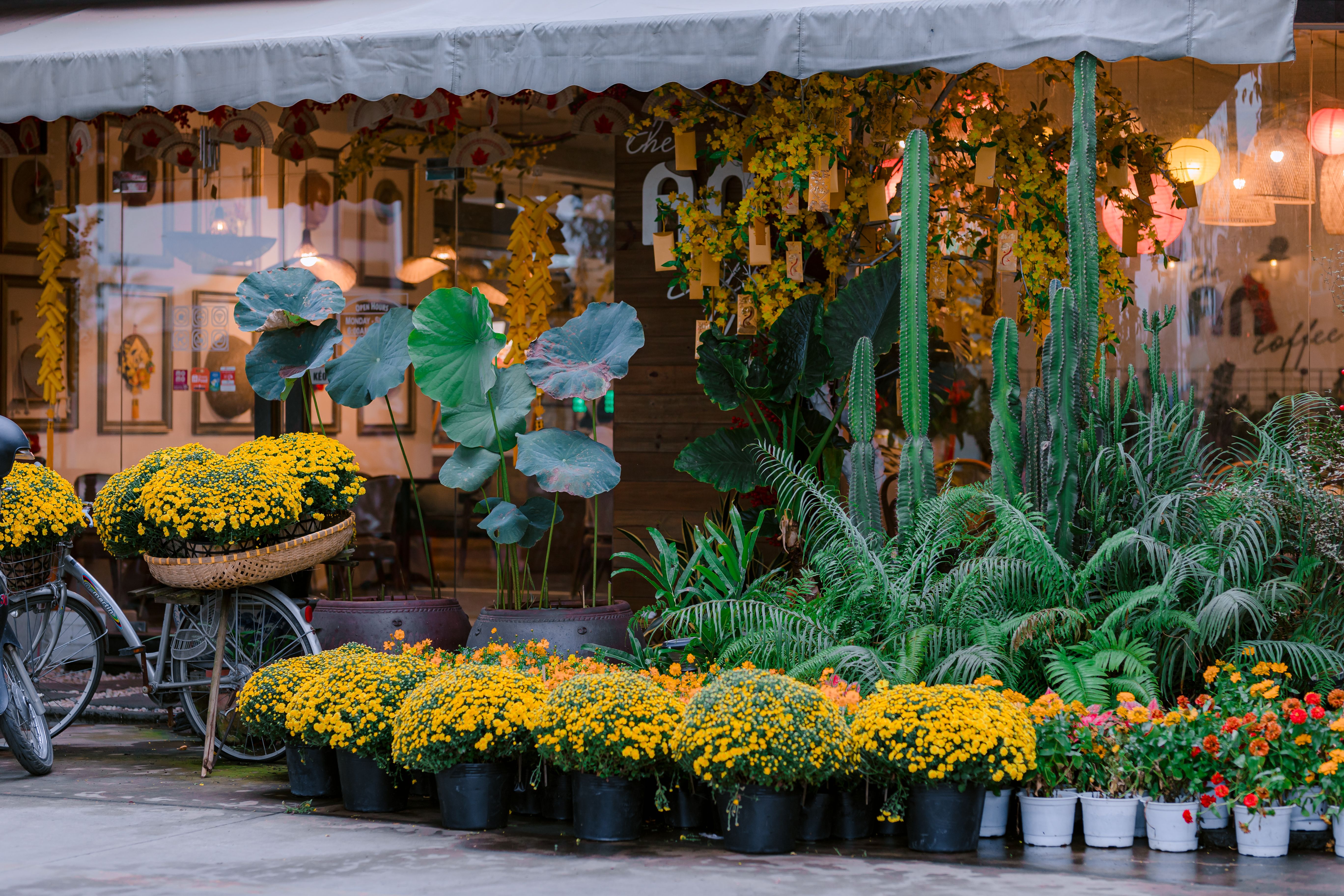 Charming Outdoor Cafe with Vibrant Flora Display · Free Stock Photo
