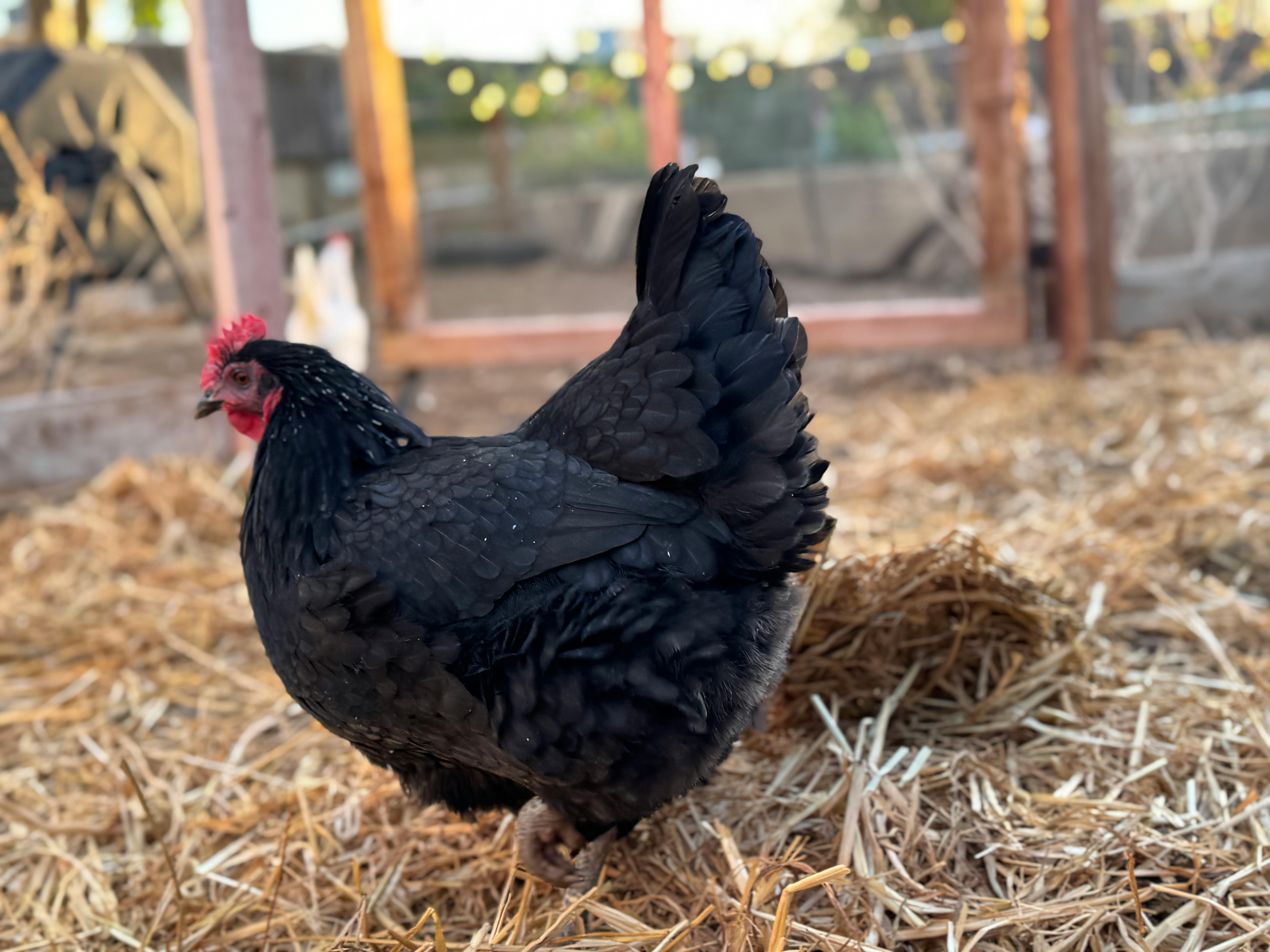 Matthew Tallman – Fotografia