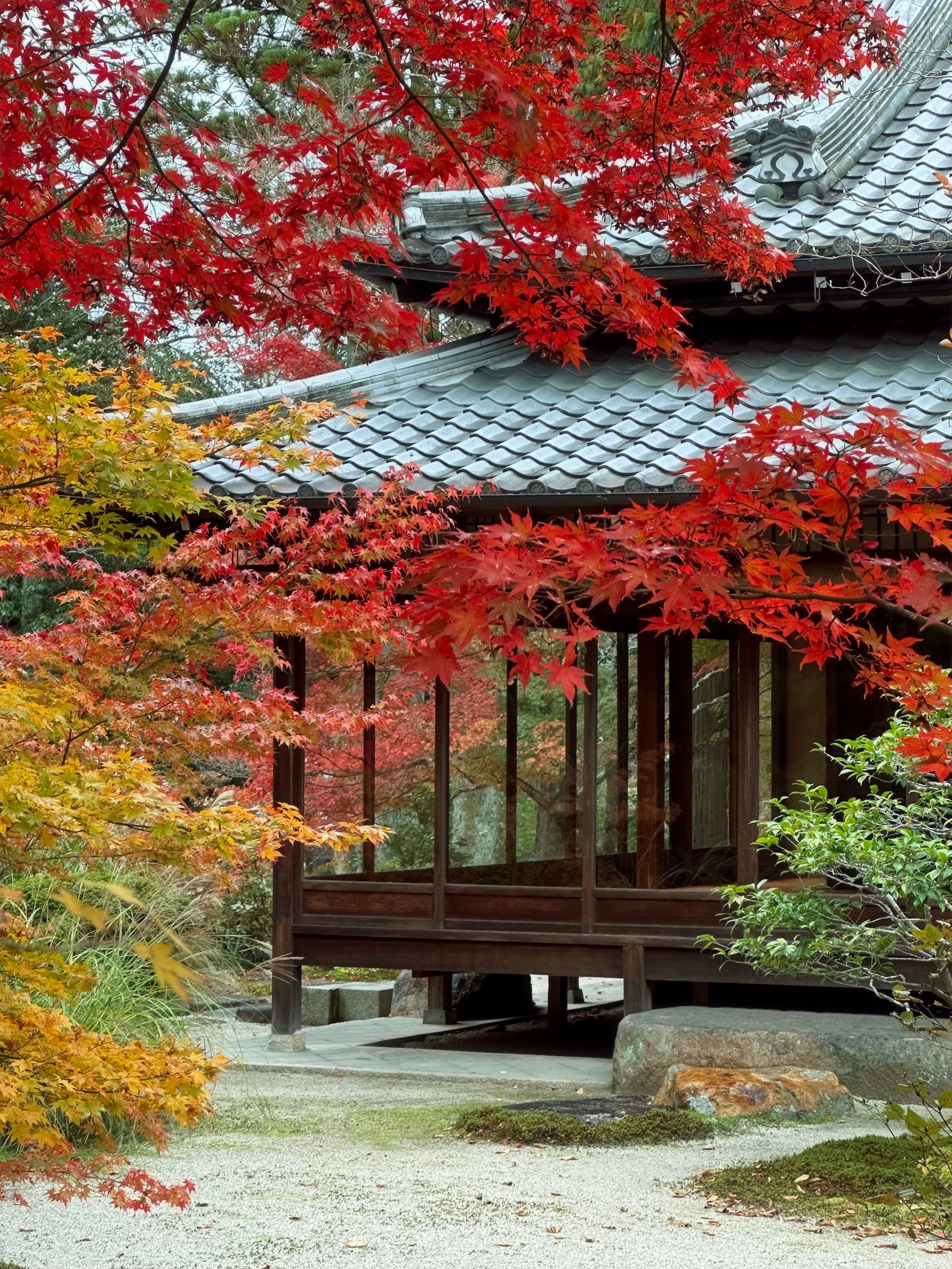 Traditional Japanese Temple in Autumn Foliage · Free Stock Photo