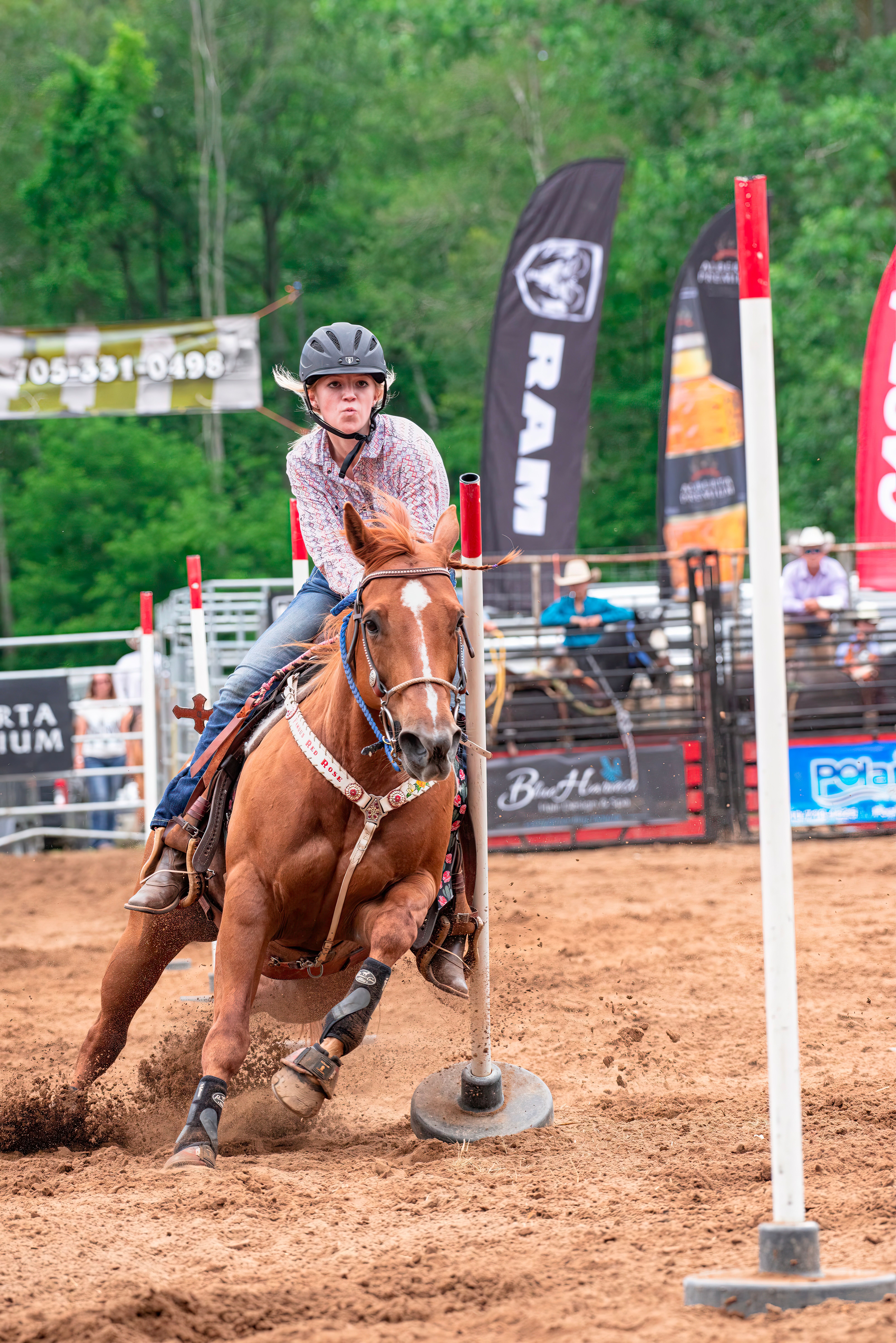 Horse Events Photos, Download The BEST Free Horse Events Stock Photos ...