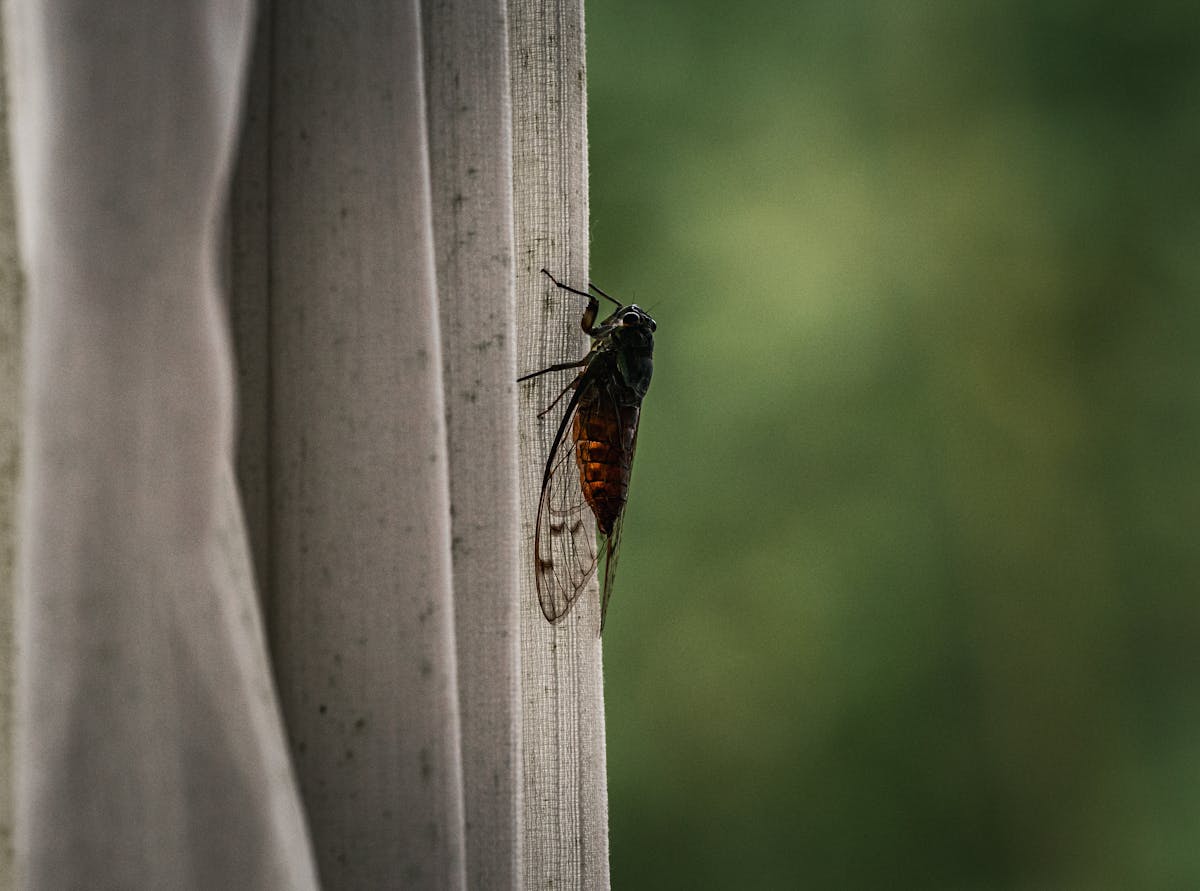 Free Non Copyrighted Photos, Download The BEST Free Free Non ...