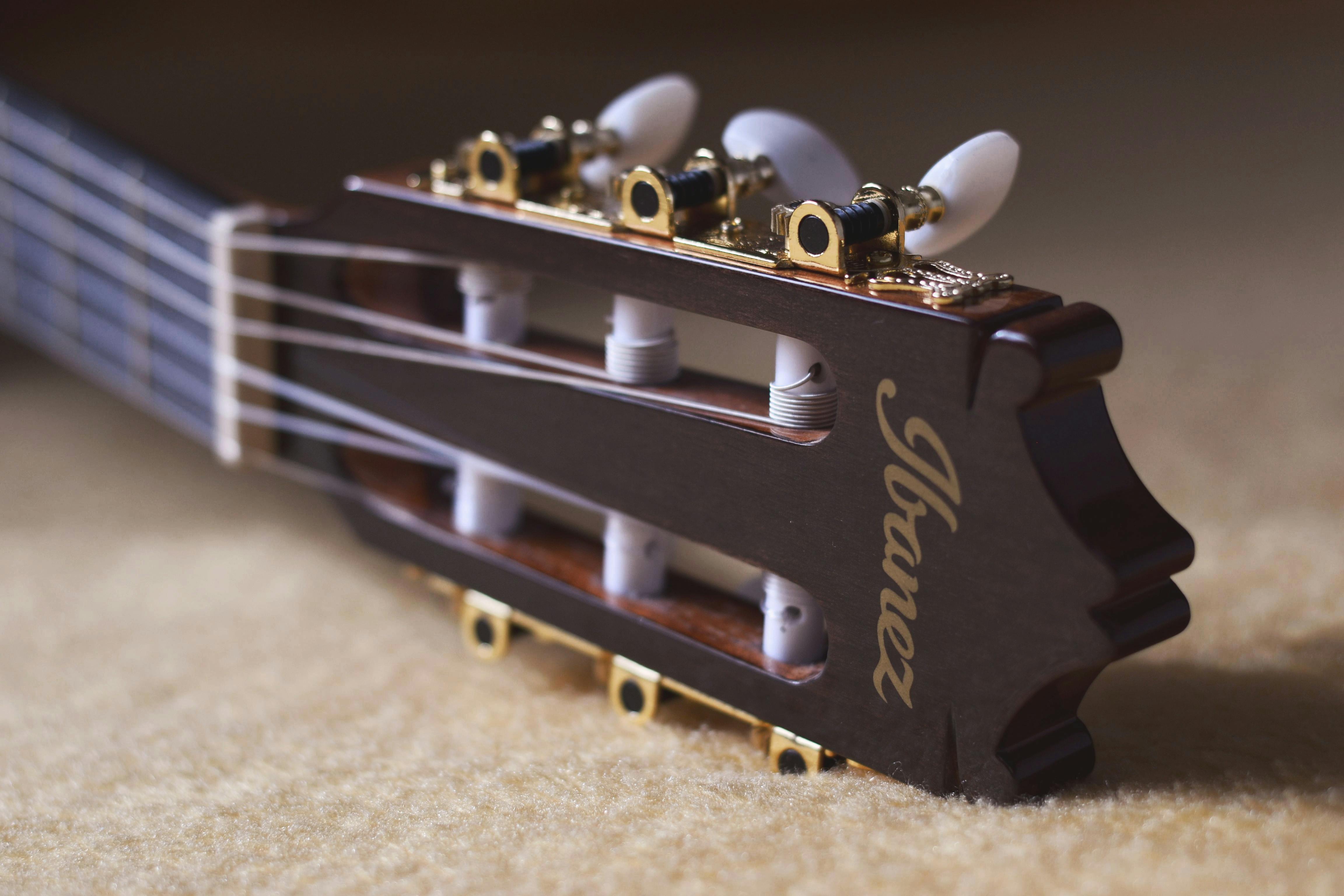 Ibanez Classical Guitar Headstock Close-Up · Free Stock Photo