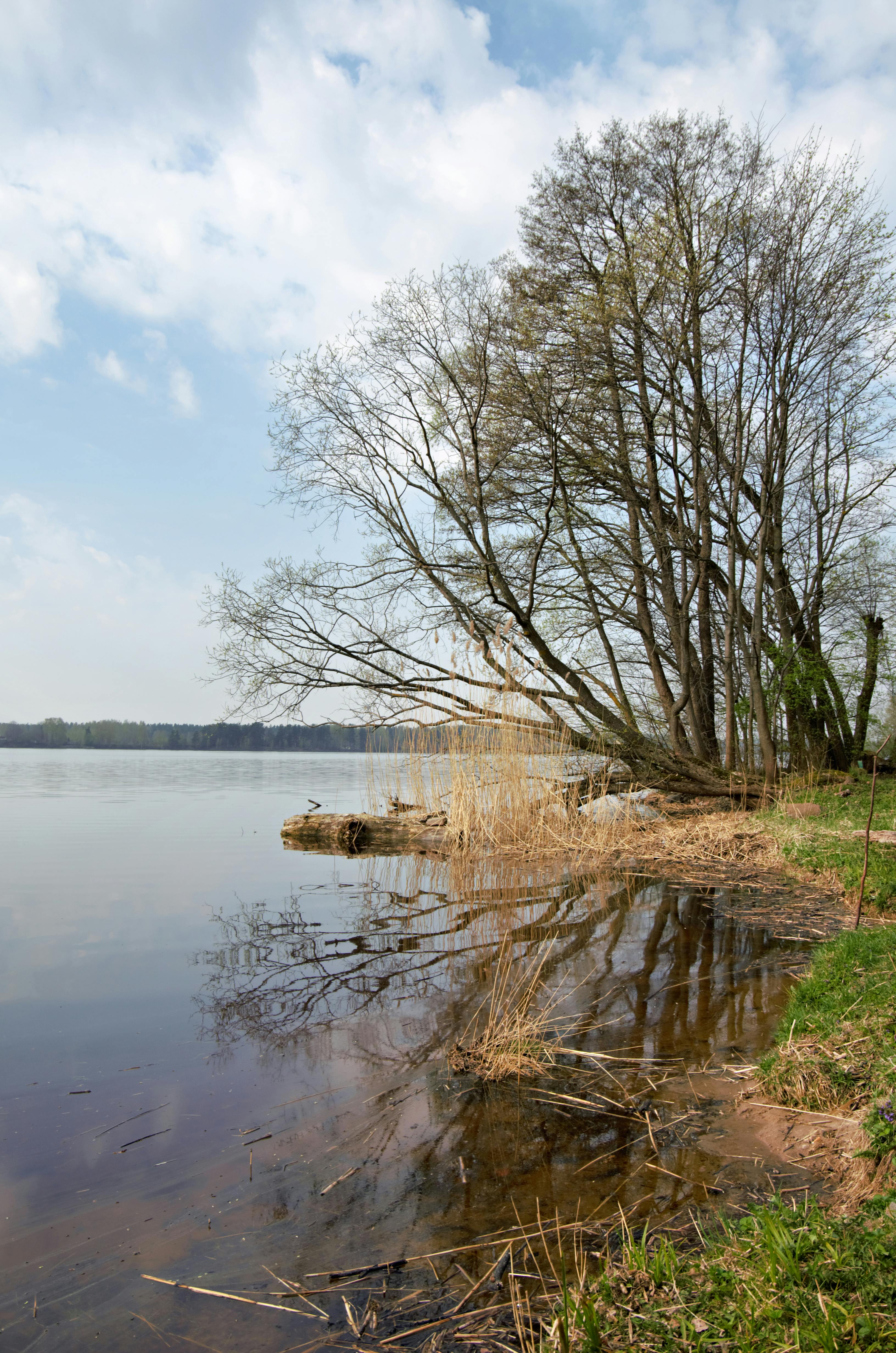 Simple Barbie Landscape Photos, Download The BEST Free Simple Barbie ...