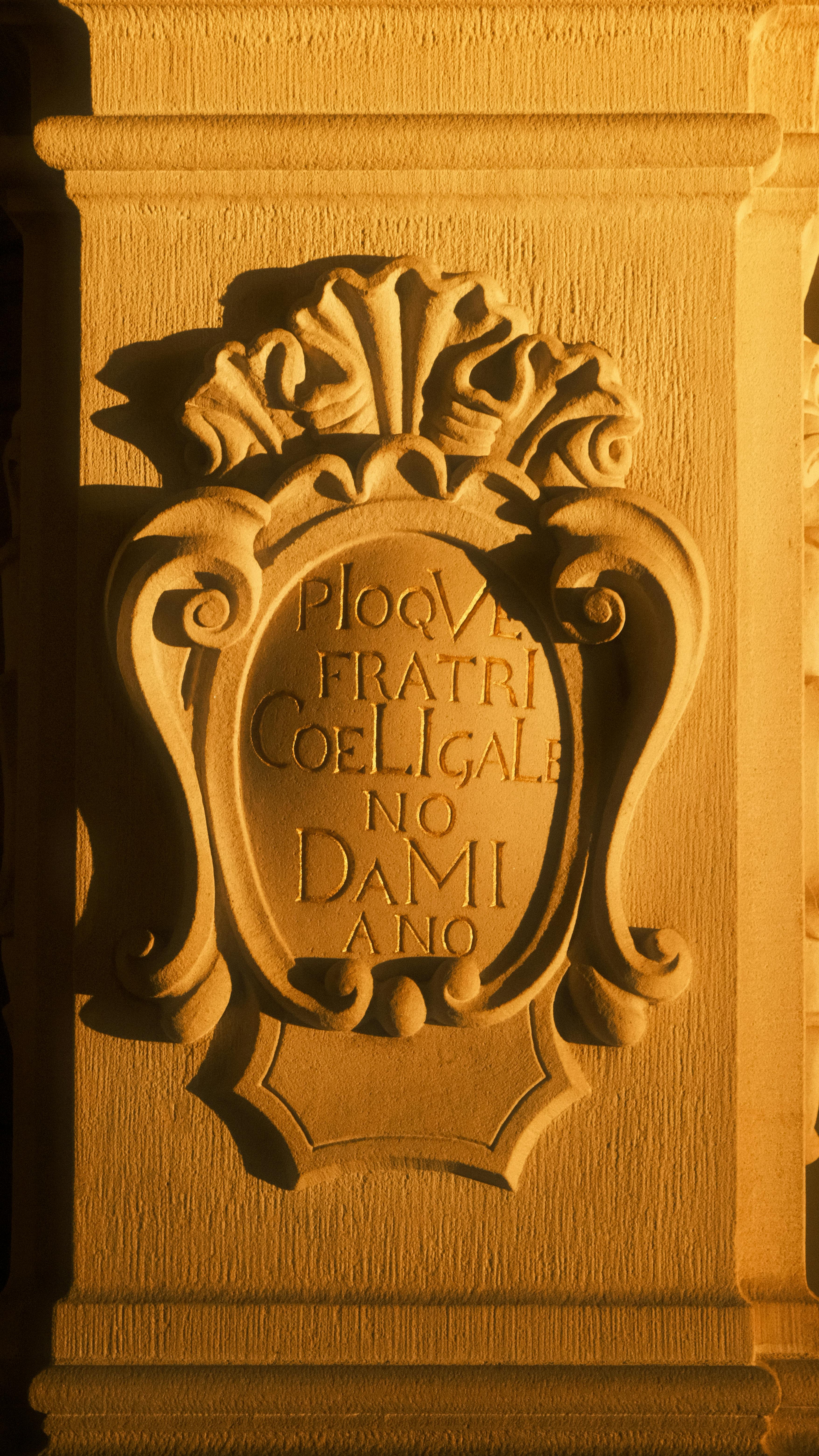 Elegant Carved Stone Emblem in Golden Light · Free Stock Photo