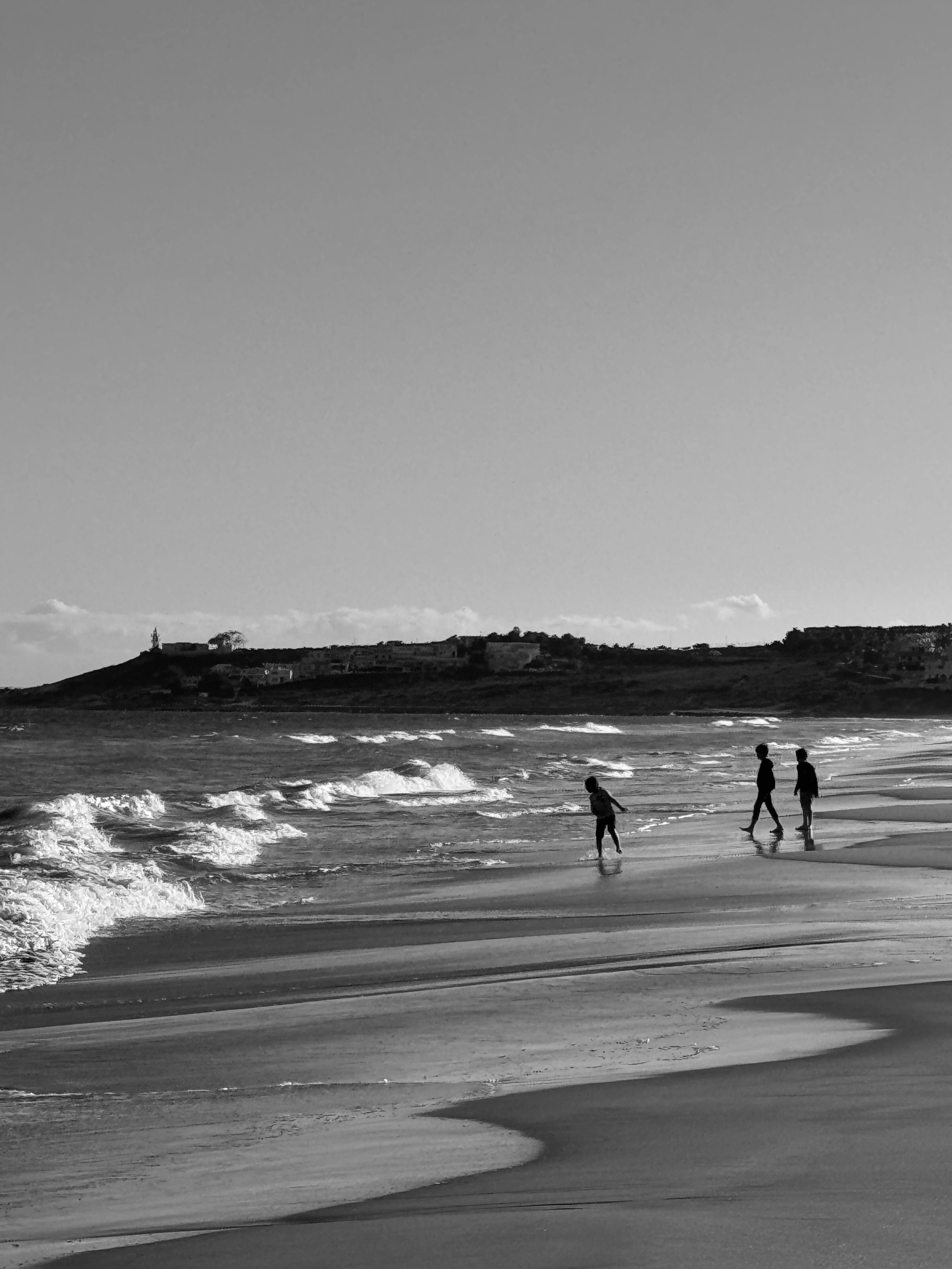Arrogant Walk Photos, Download The BEST Free Arrogant Walk Stock Photos ...