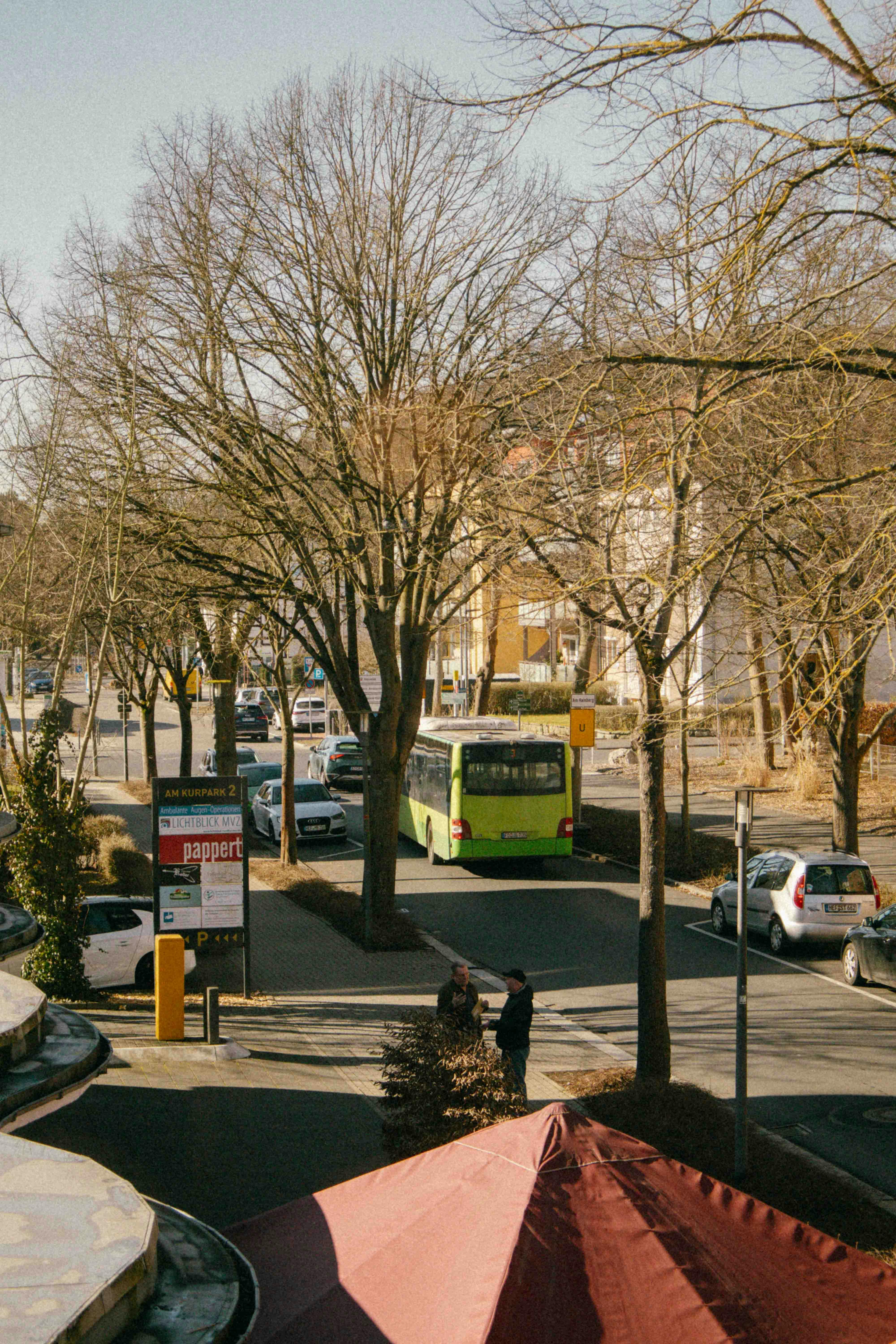 Autumn Tree Photos, Download The BEST Free Autumn Tree Stock Photos ...