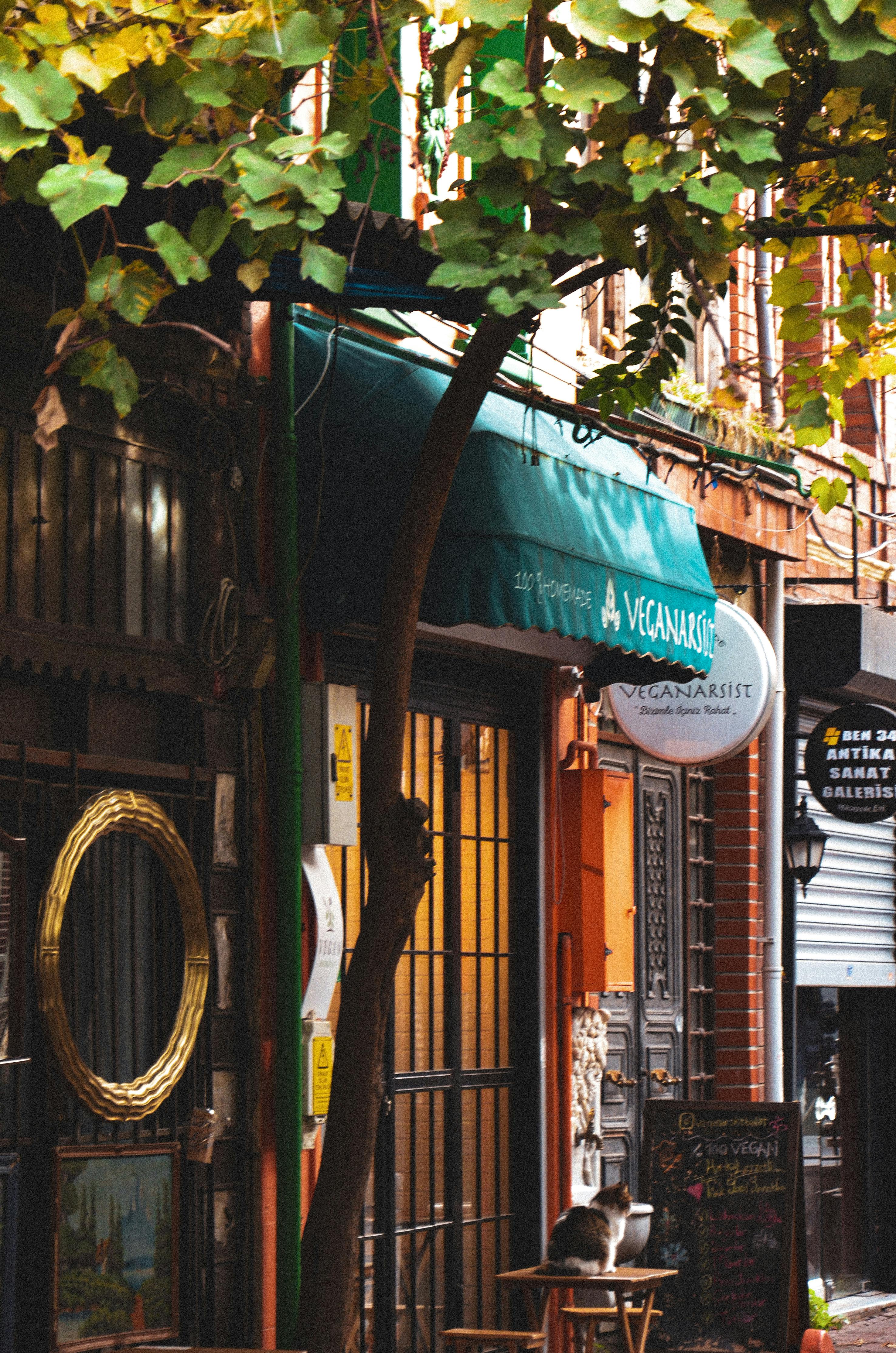 Coffee Shop Cafe Photos, Download The BEST Free Coffee Shop Cafe Stock ...