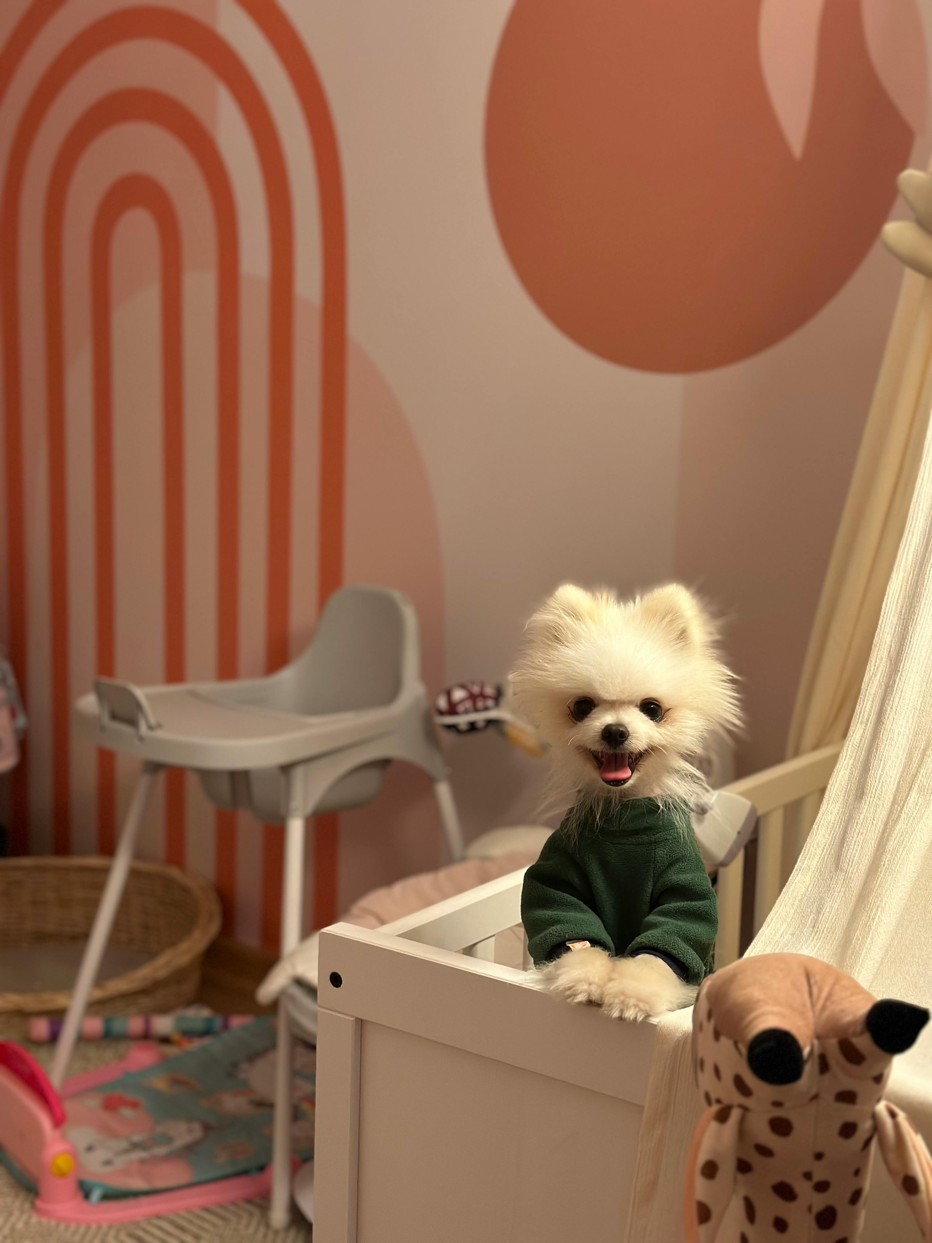 Karate Kid Patterns Photos, Download The BEST Free Karate Kid Patterns ...