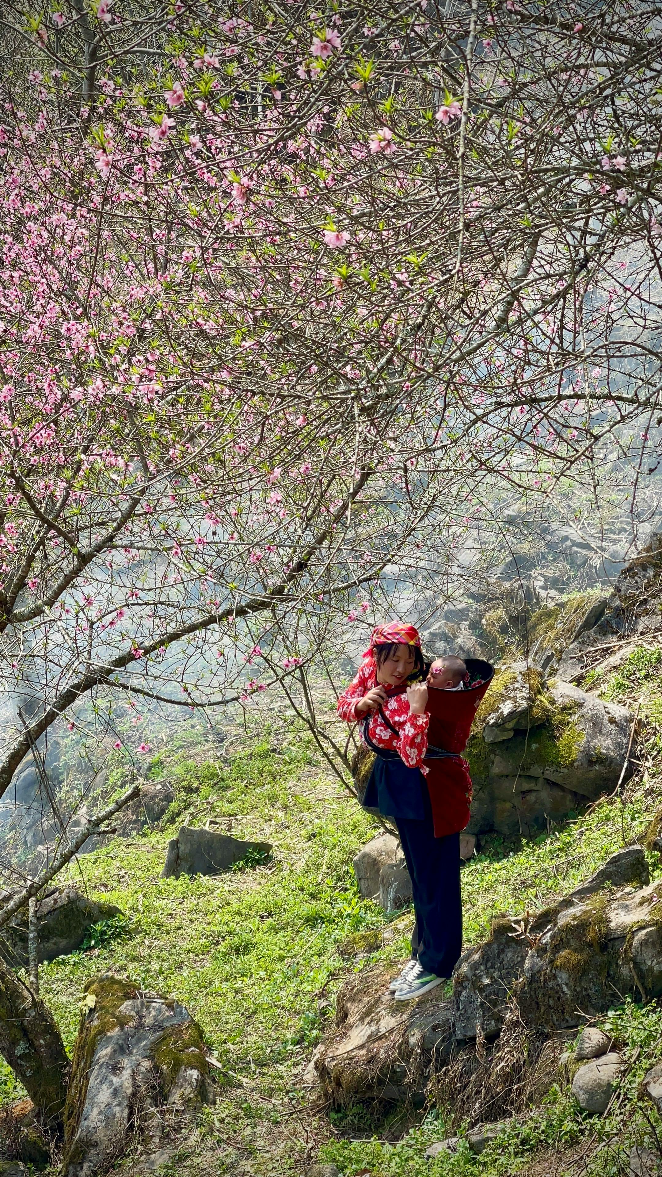 Hdabla+Po Photos, Download The BEST Free Hdabla+Po Stock Photos & HD Images