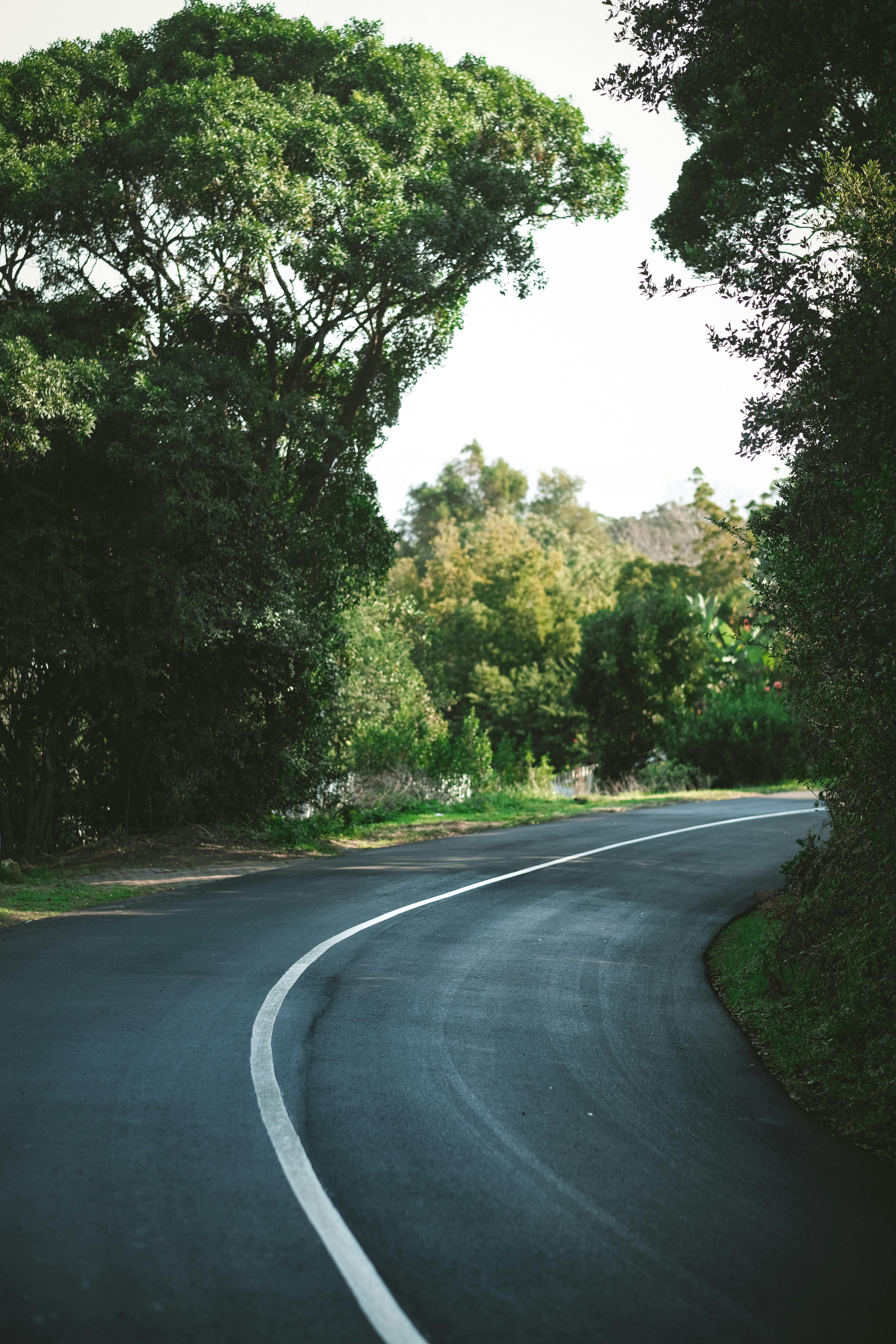 Empty Paved Road · Free Stock Photo