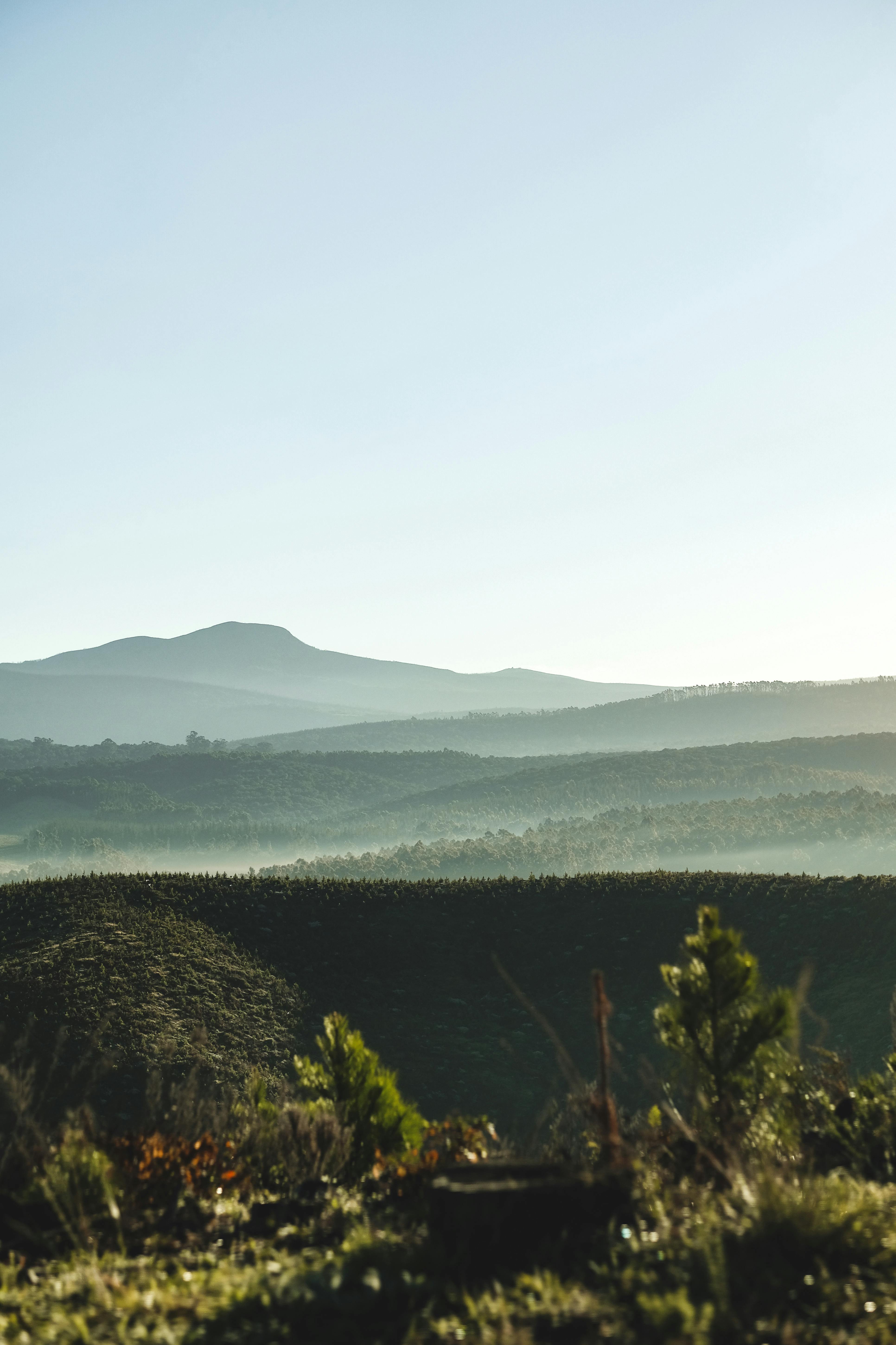 250+ Amazing Early Morning Photos · Pexels · Free Stock Photos