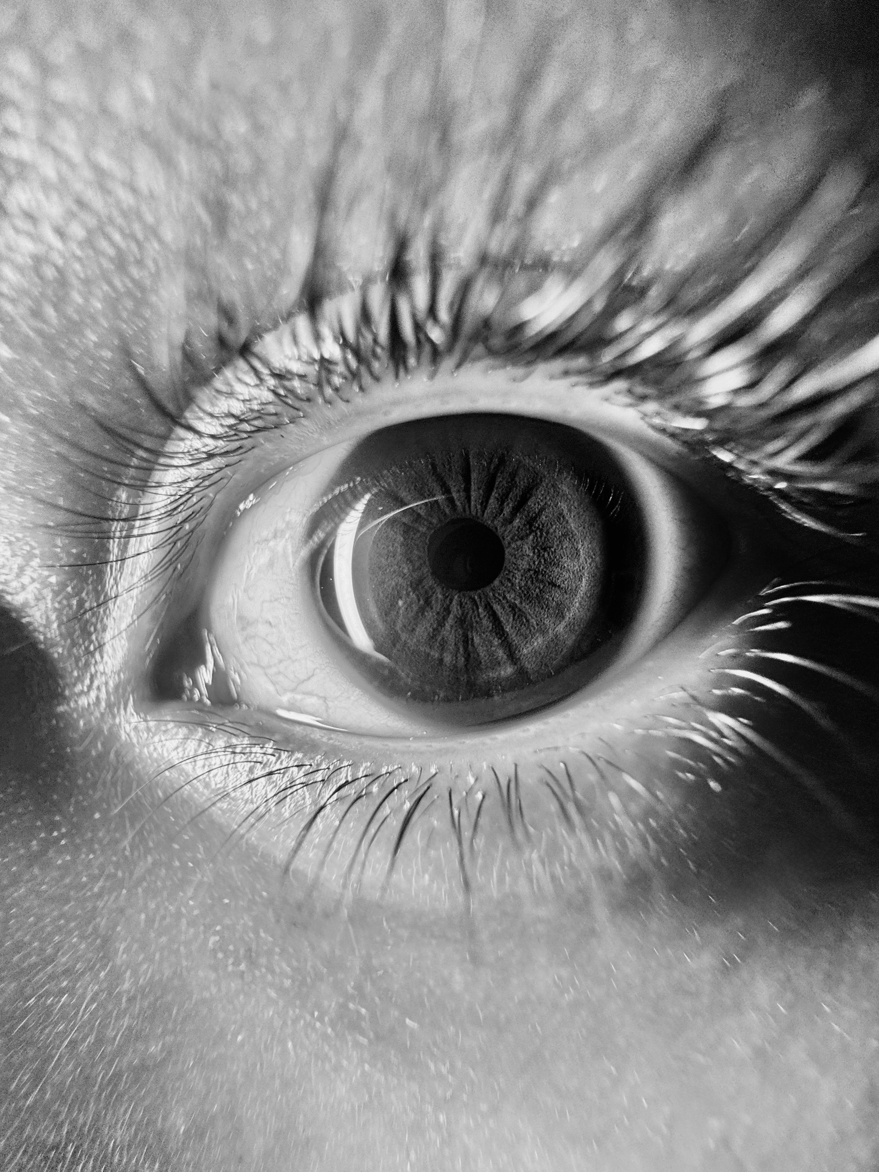 Curiosity Face Photos, Download The BEST Free Curiosity Face Stock ...