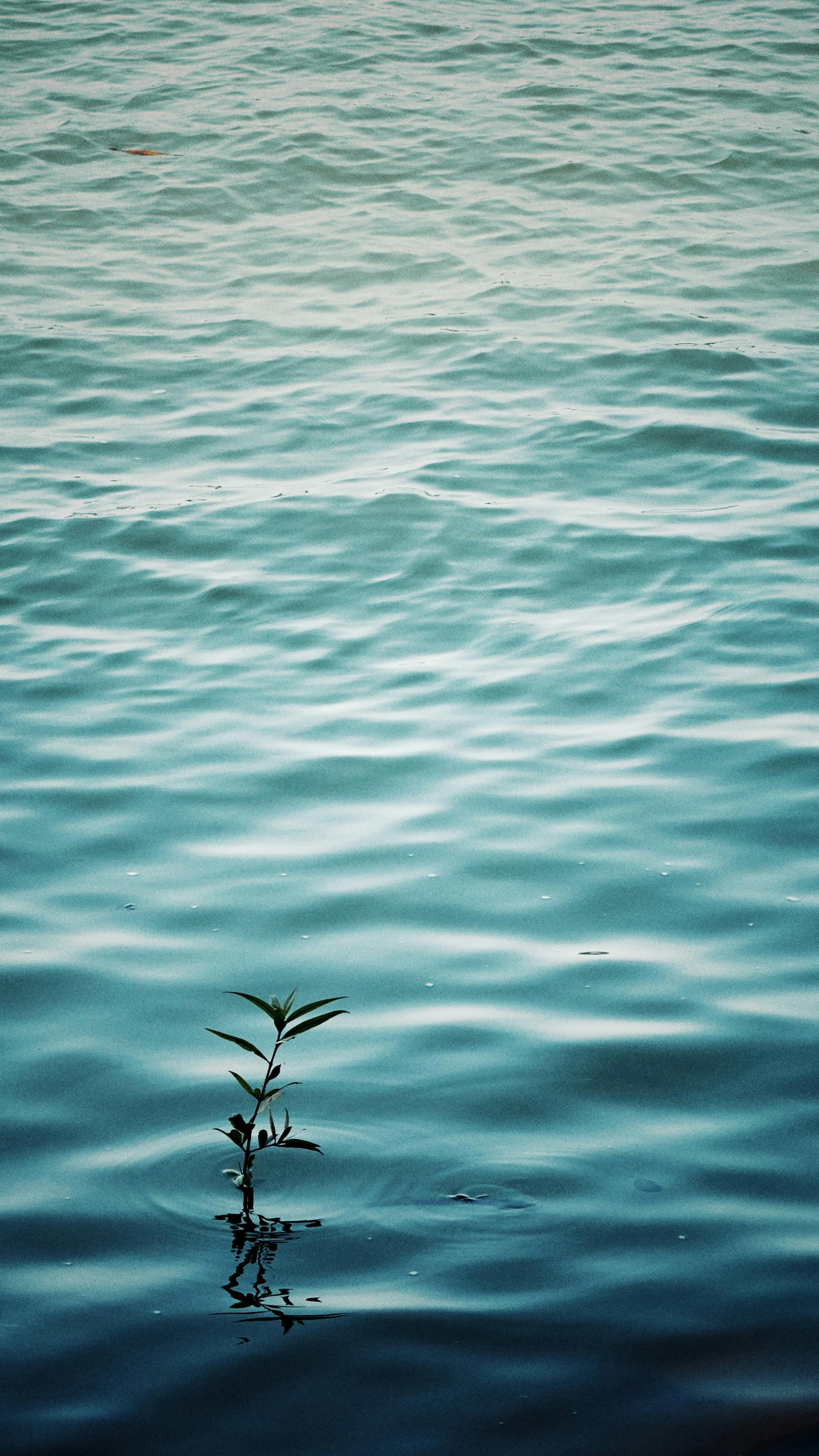 Nature Elemental Photos, Download The BEST Free Nature Elemental Stock ...