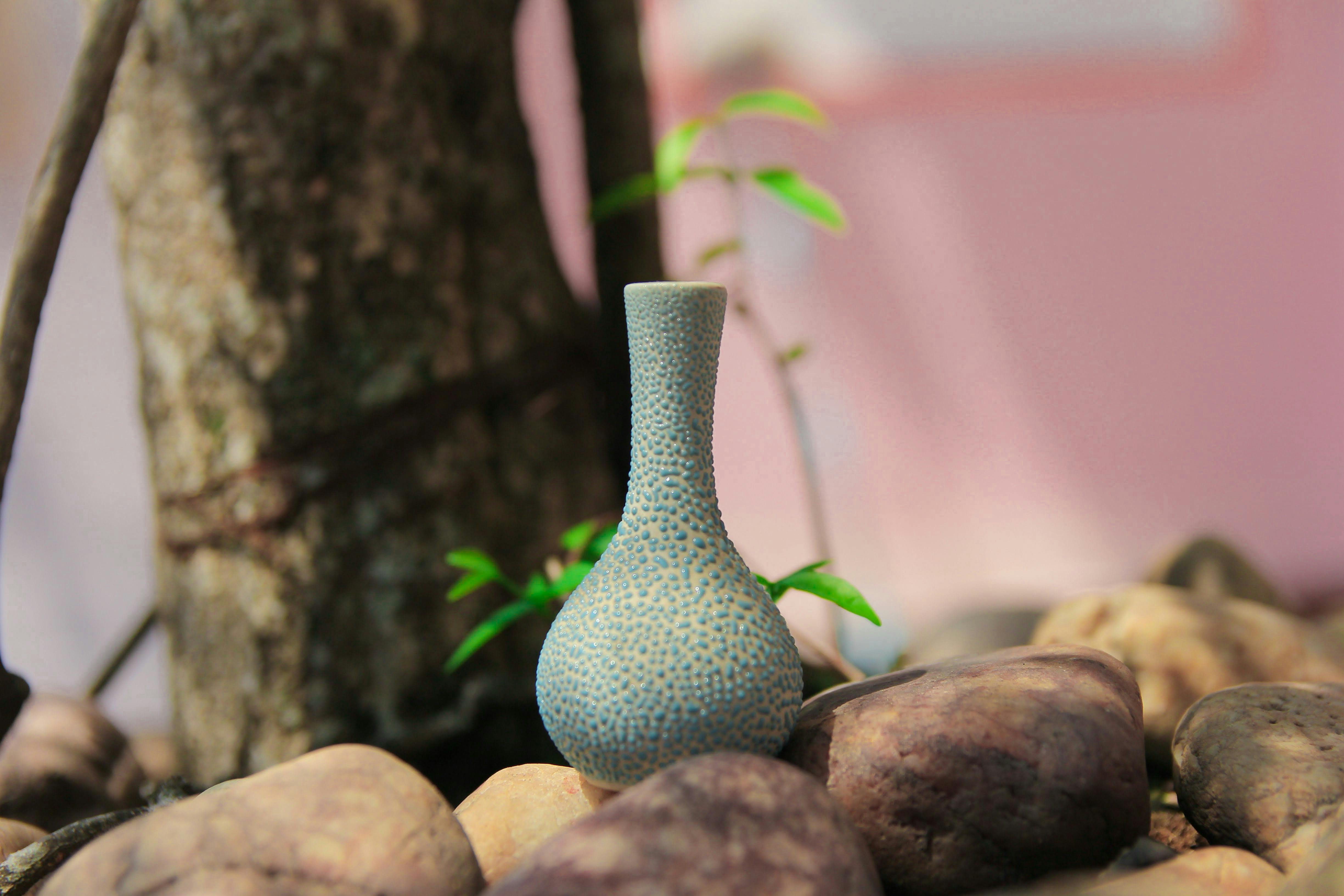 Soft Background Photos, Download The BEST Free Soft Background Stock ...