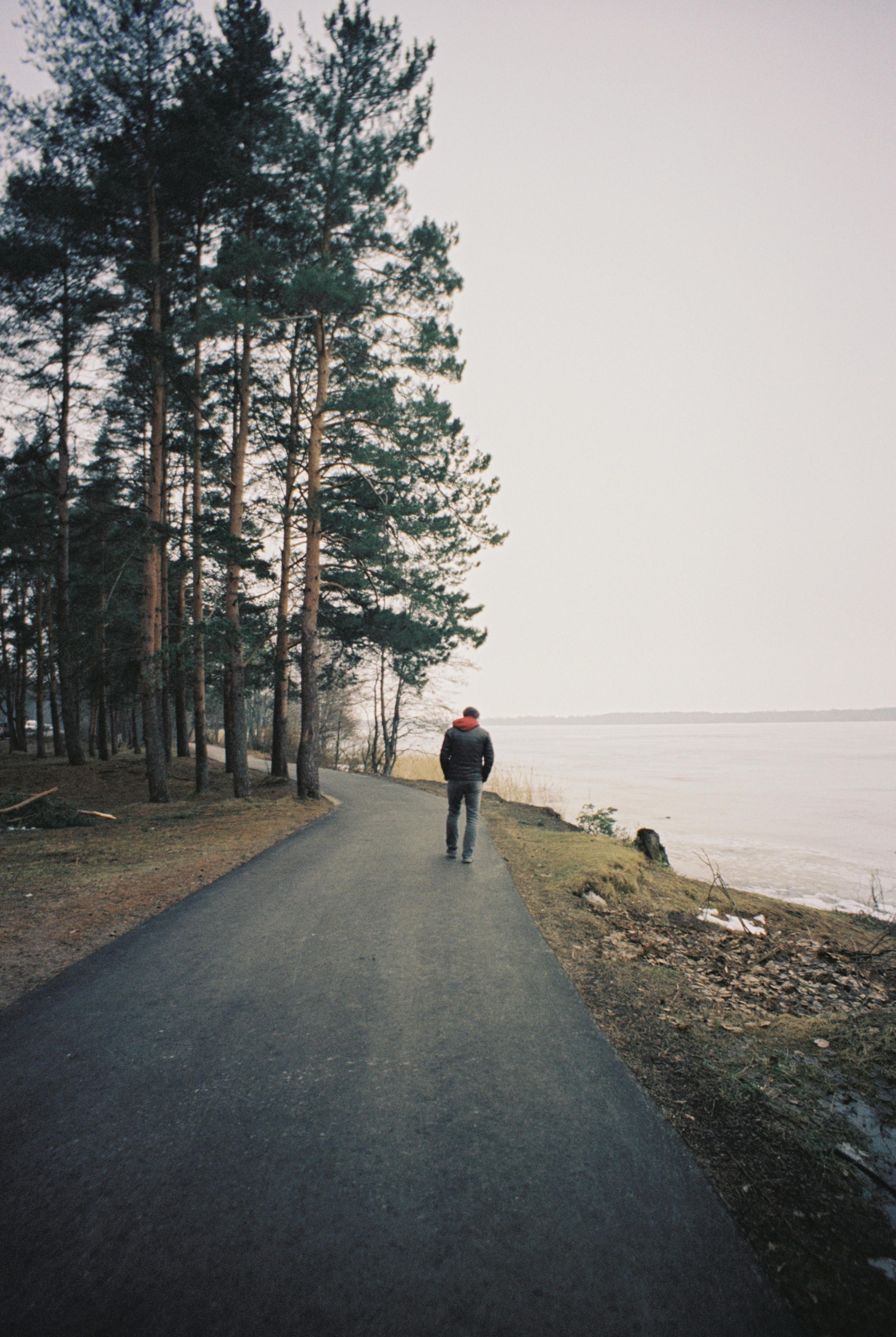Solitary Walk Along a Scenic Lakeside Path · Free Stock Photo