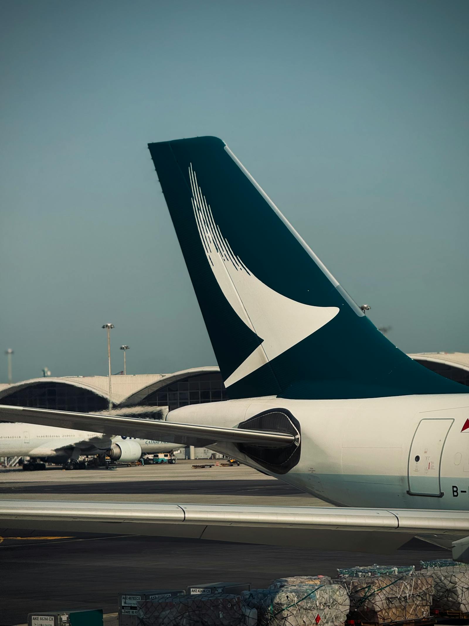 9,000+张最精彩的“Logistics Warehouse”图片 · 100%免费下载 · Pexels素材图片