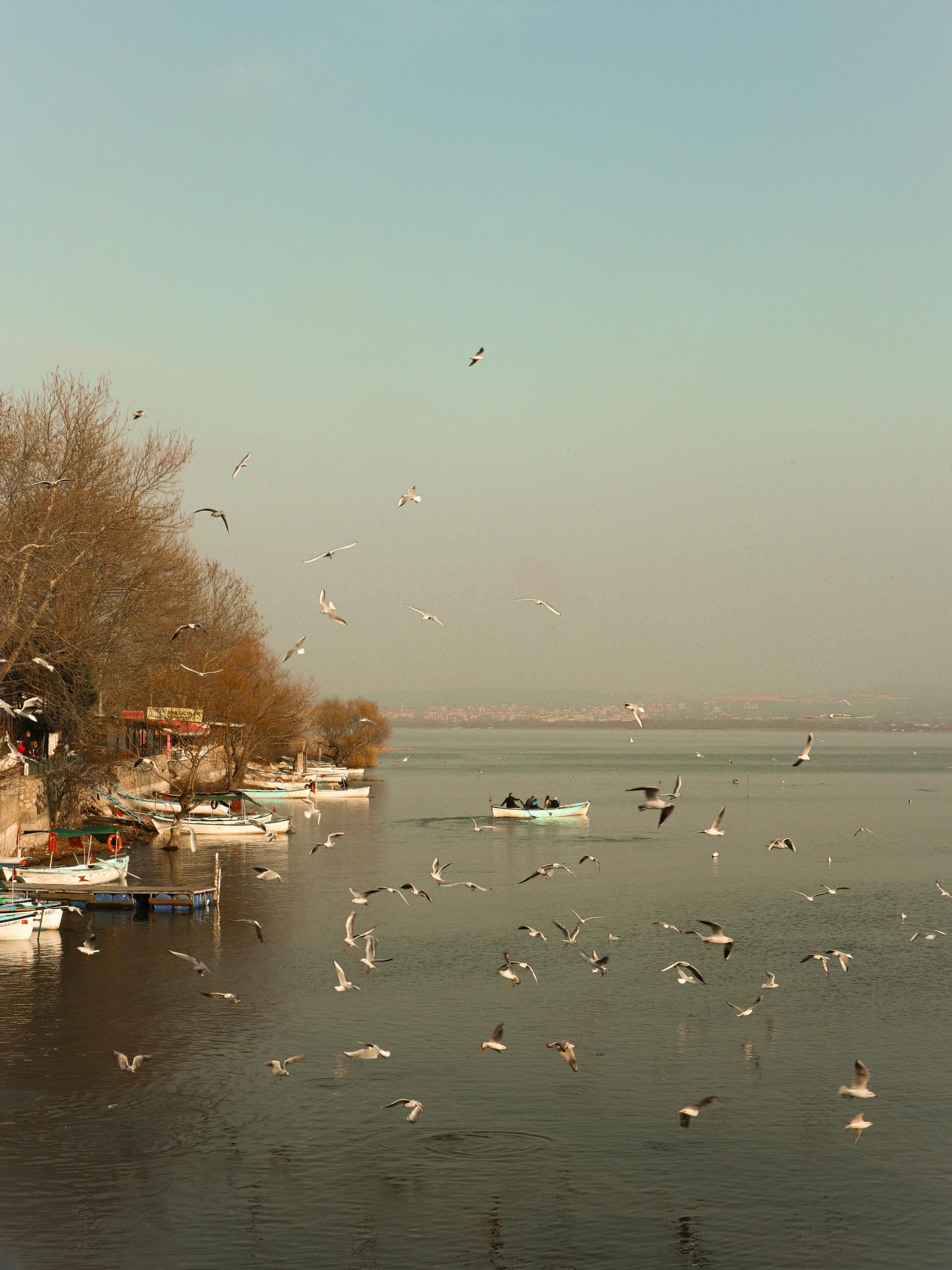 Lake View Photos, Download The BEST Free Lake View Stock Photos & HD Images