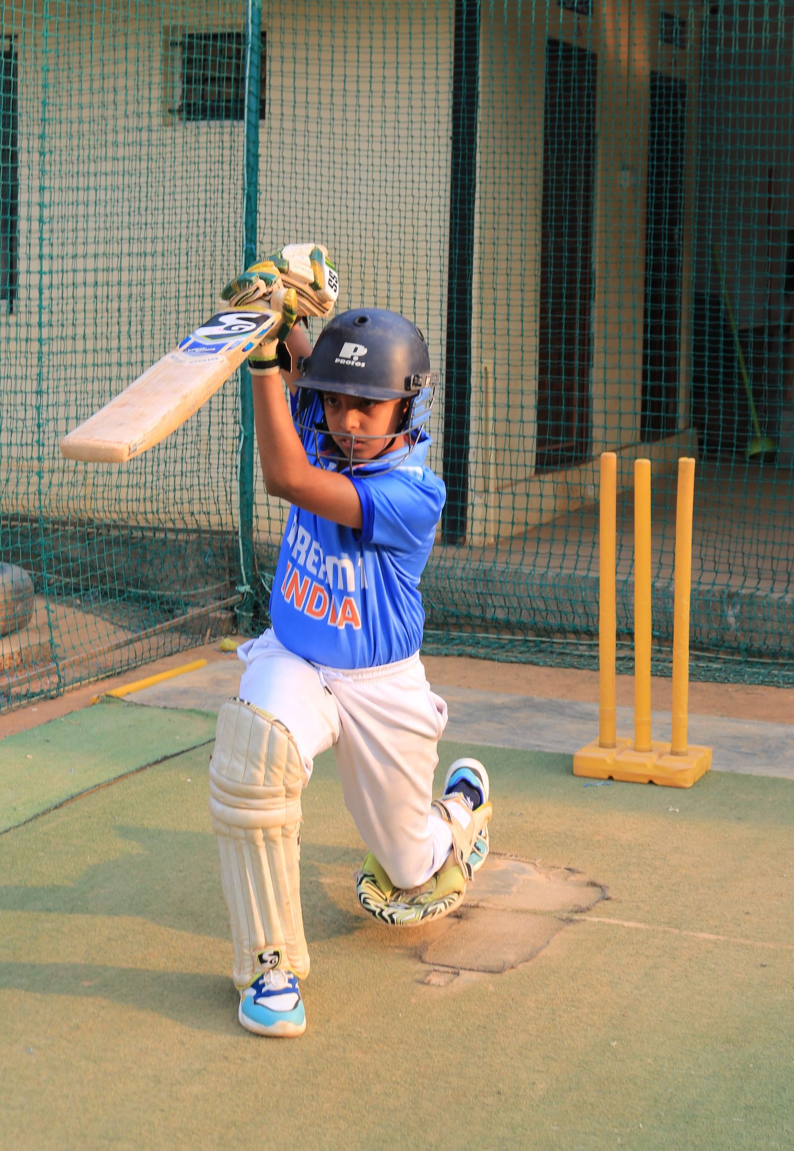 Cricket Dp Photos, Download The BEST Free Cricket Dp Stock Photos & HD ...