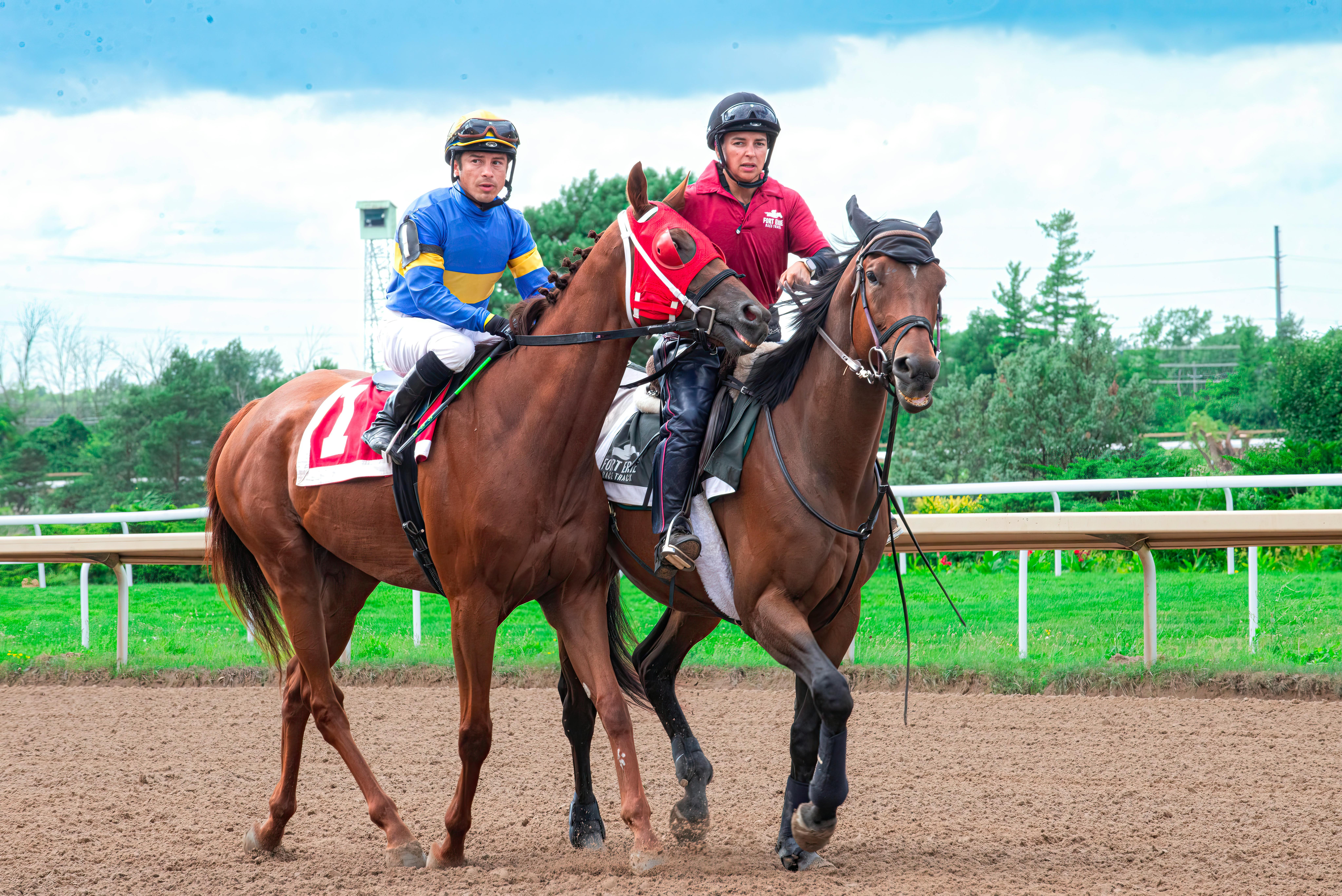 Competitive horse race with jockeys and horses · Free Stock Photo