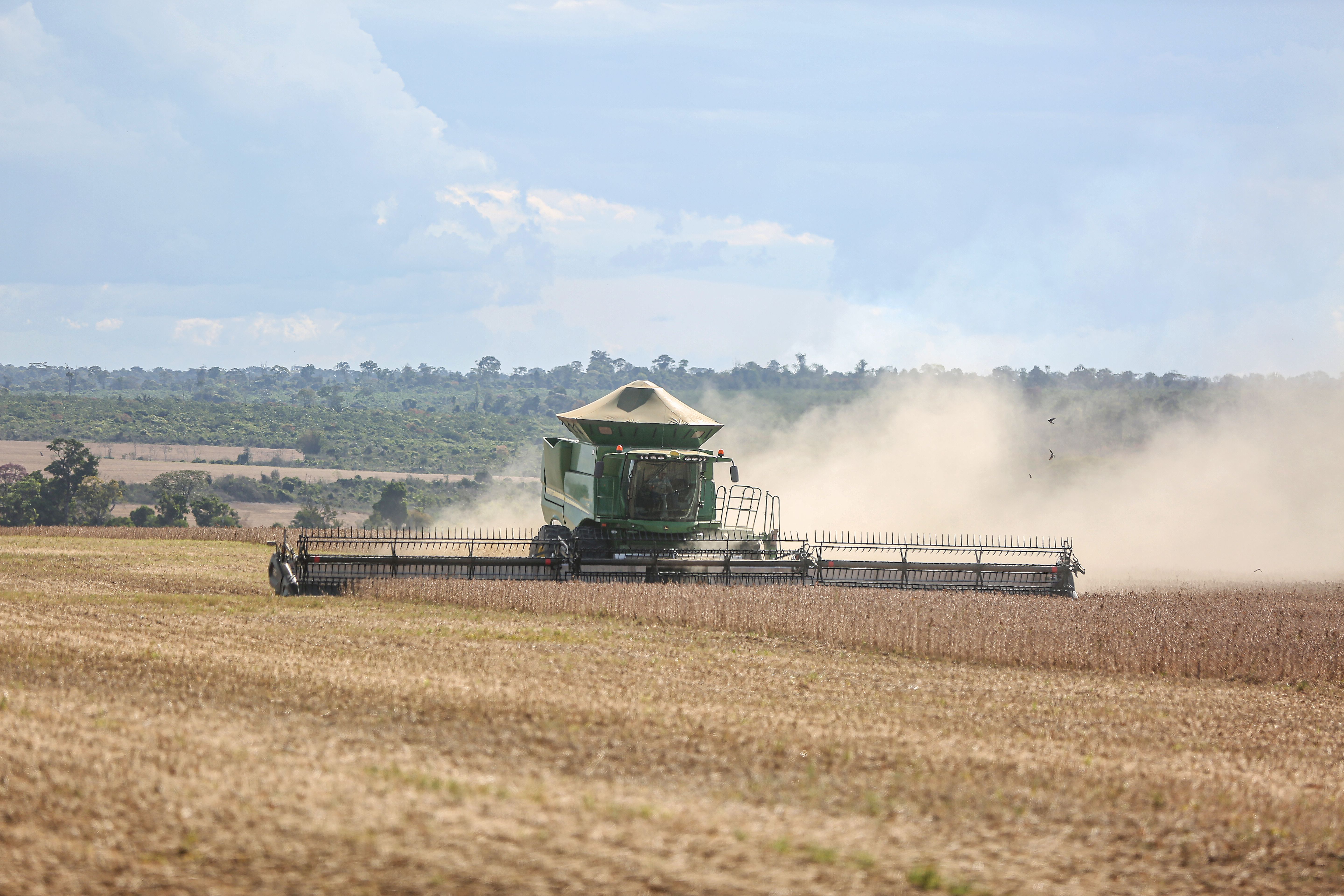 Machine Mk2 Photos, Download The BEST Free Machine Mk2 Stock Photos ...