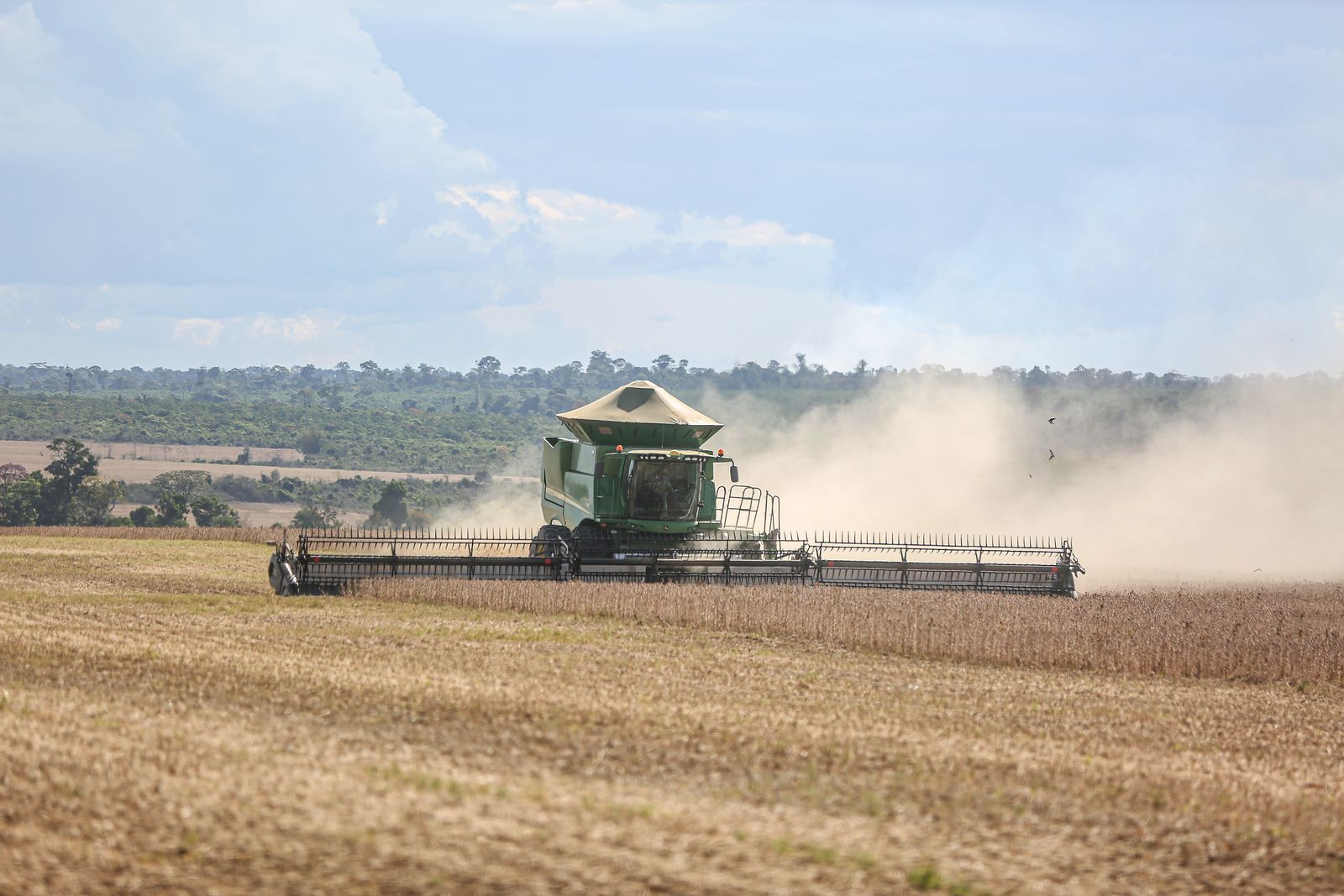 Soybean Field Photos, Download The BEST Free Soybean Field Stock Photos ...