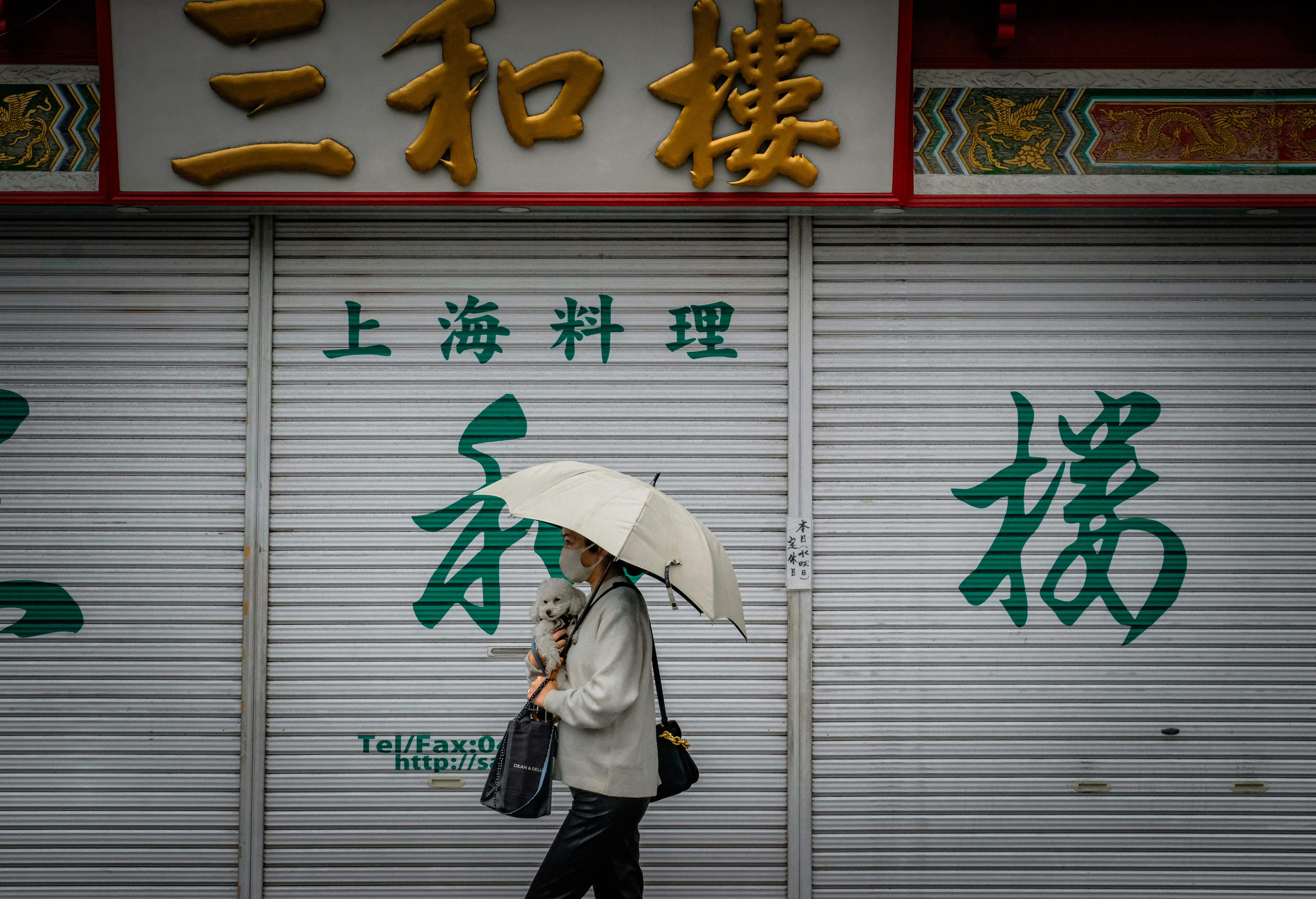 Skii Mask Photos, Download The BEST Free Skii Mask Stock Photos & HD Images