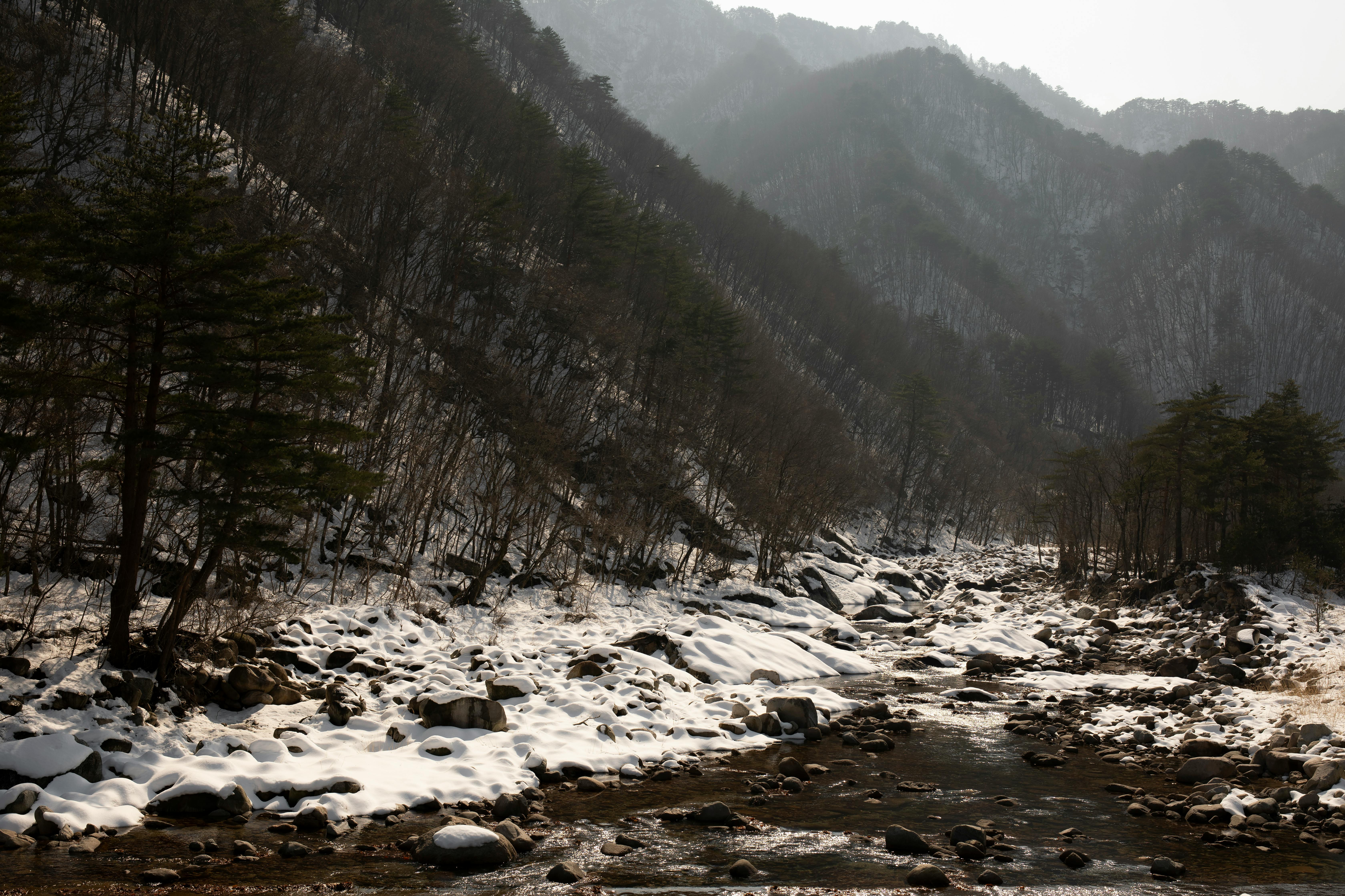 Serene Winter Mountain Stream Landscape · Free Stock Photo
