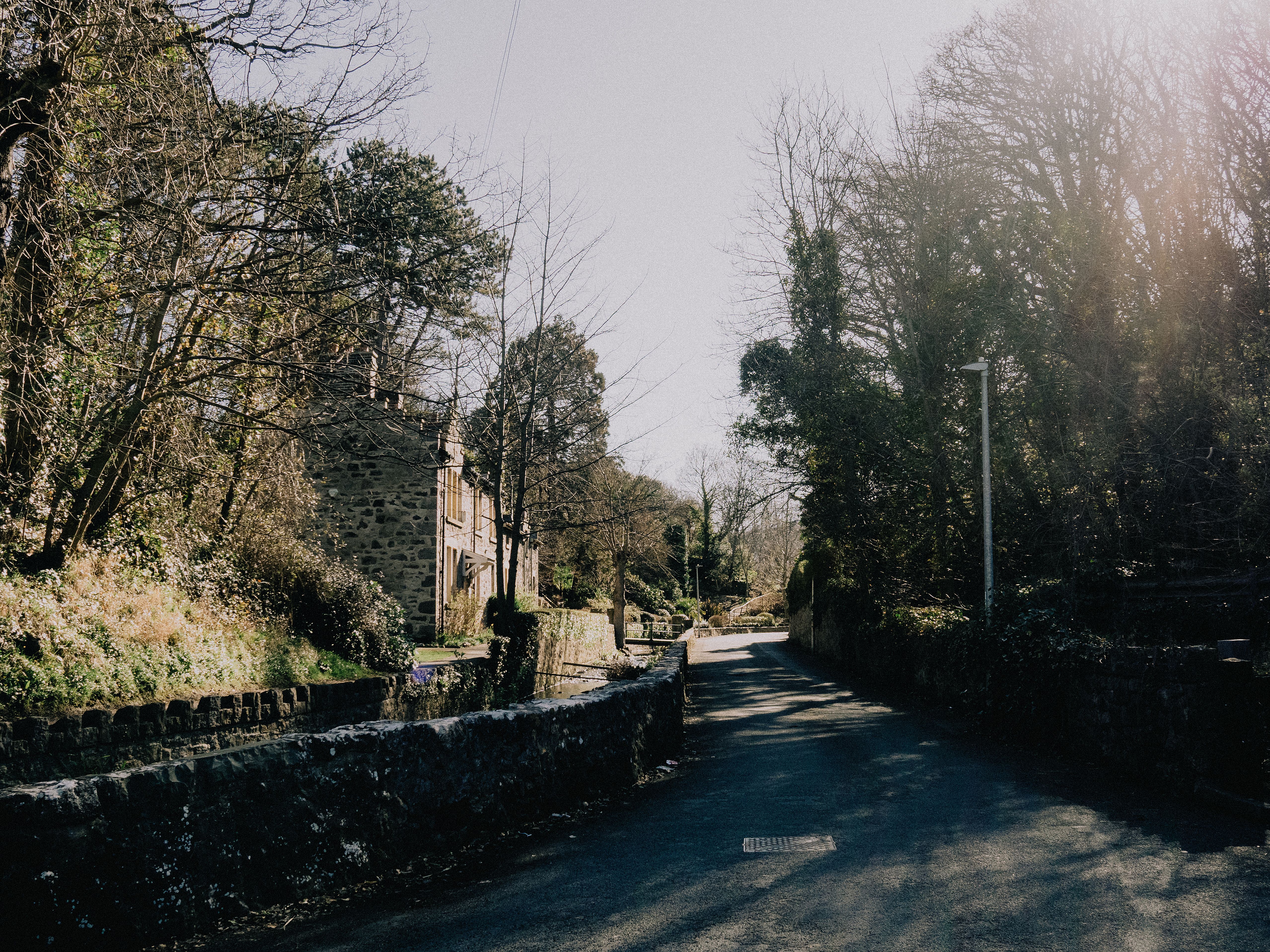 Charming Rural Road with Stone House and Trees · Free Stock Photo