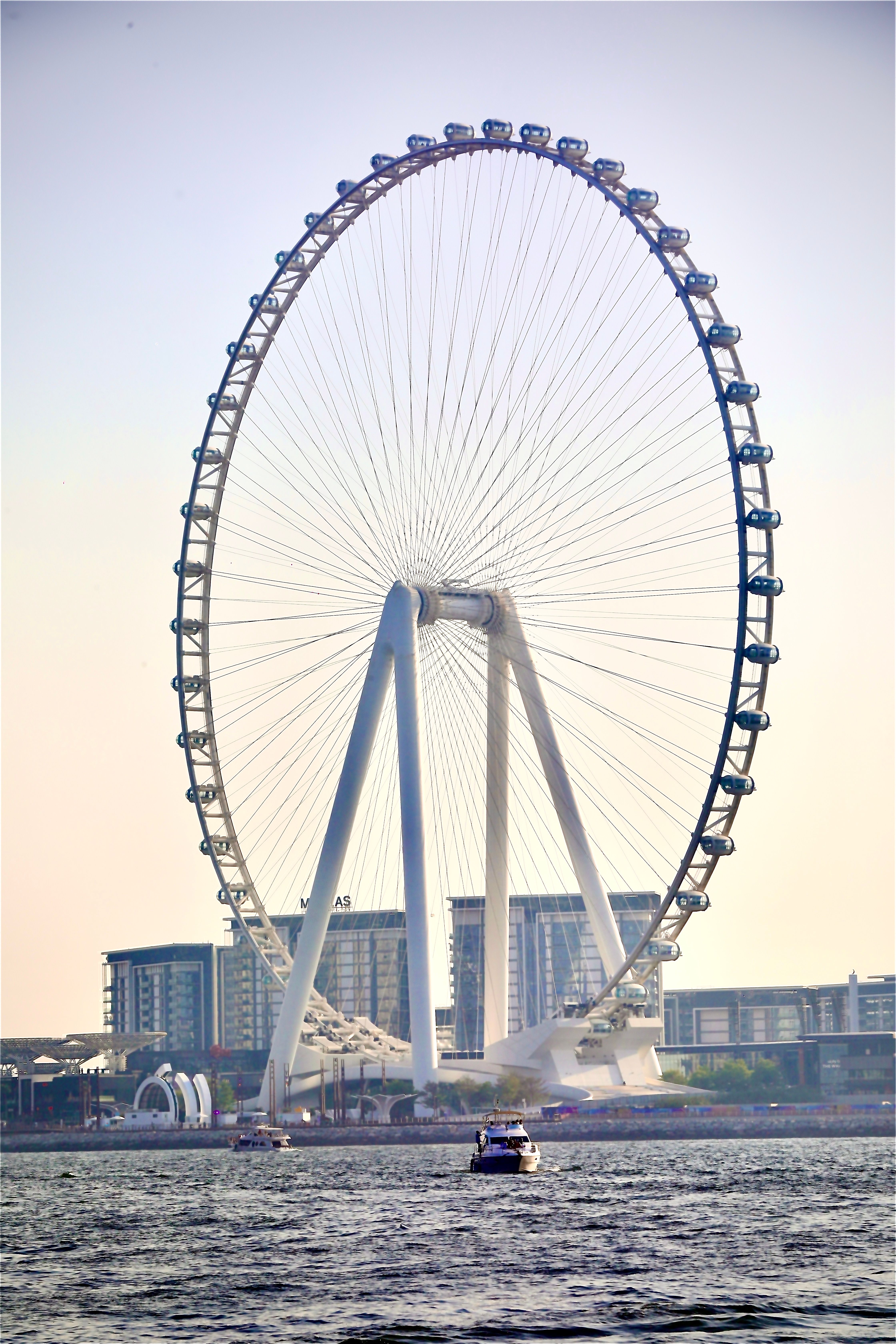 View of Majestic Ferris Wheel by Waterfront · Free Stock Photo