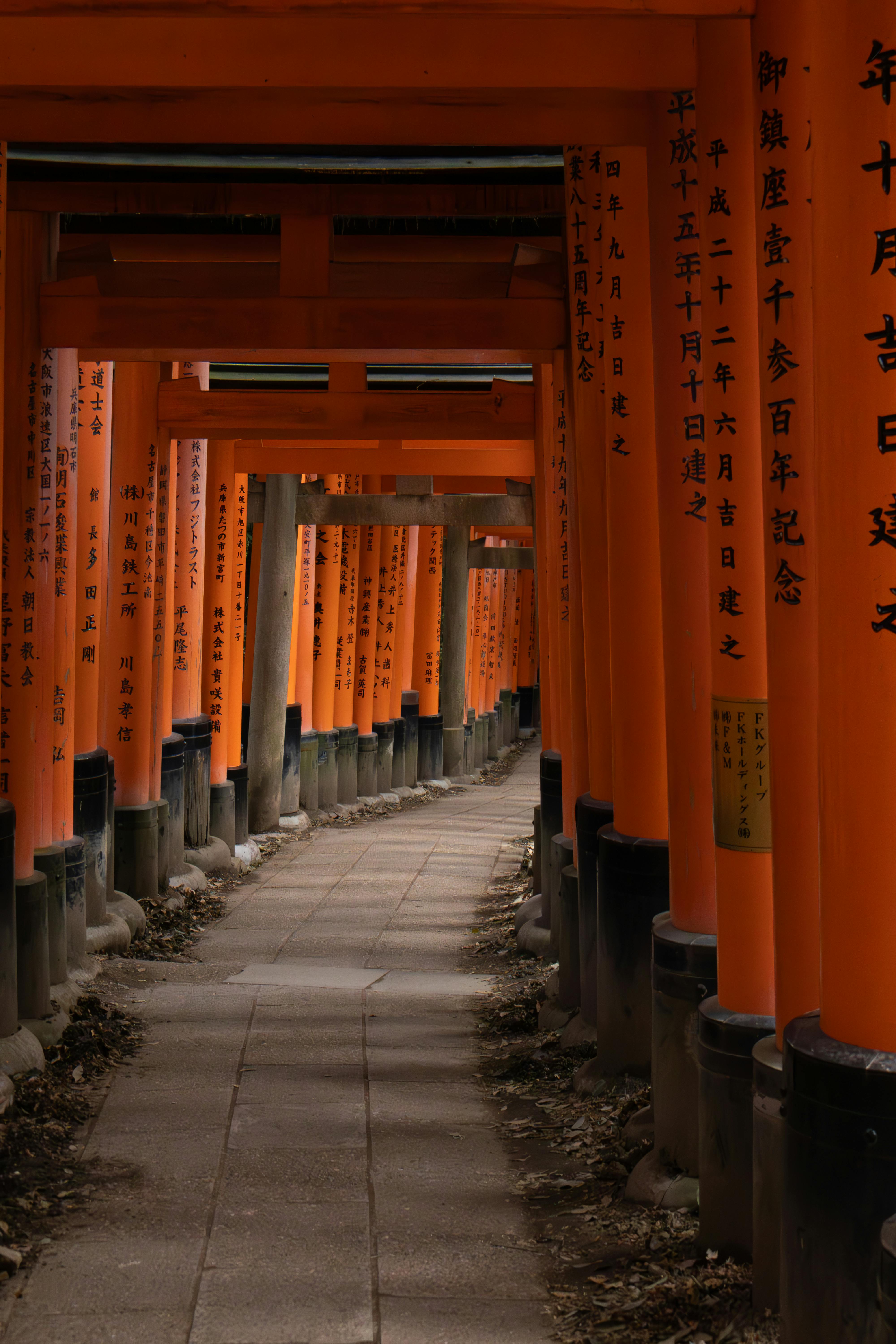 Torii Gate Path at Fushimi Inari Taisha in Kyoto · Free Stock Photo