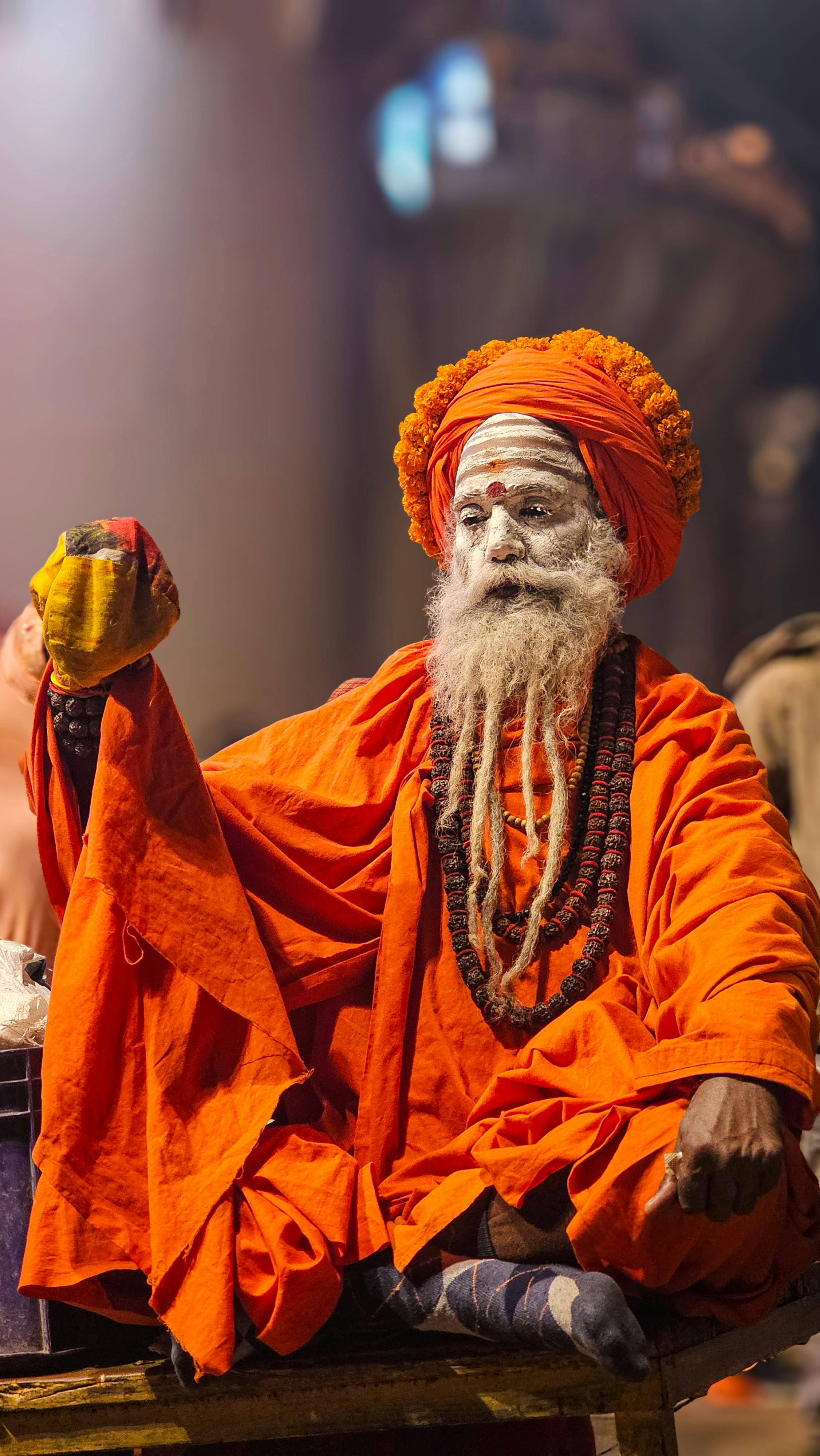 400+ melhores imagens de Gu-guru写真 · Download 100% grátis · Fotos ...