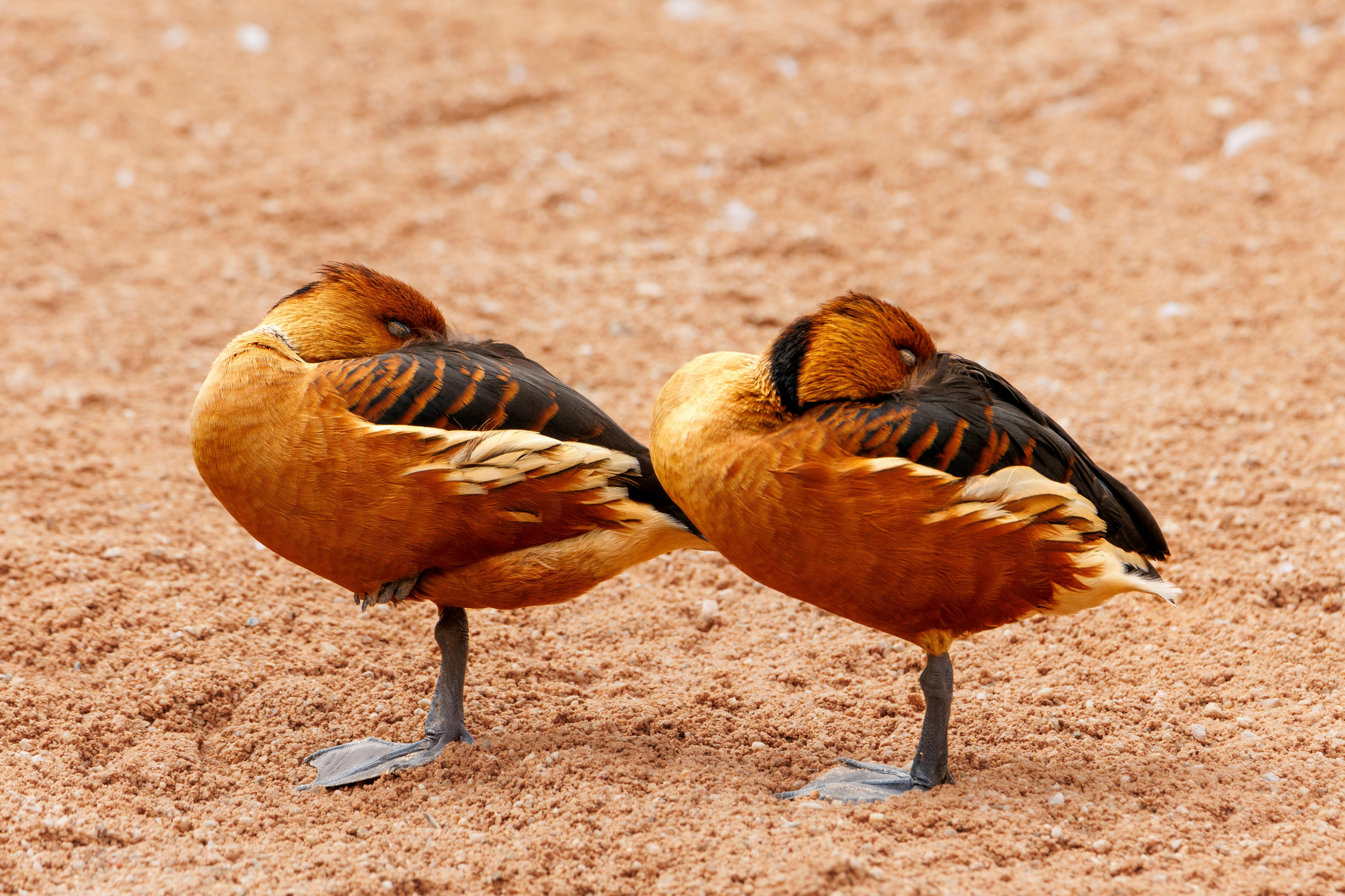 Interactive Behavior Photos, Download The BEST Free Interactive ...