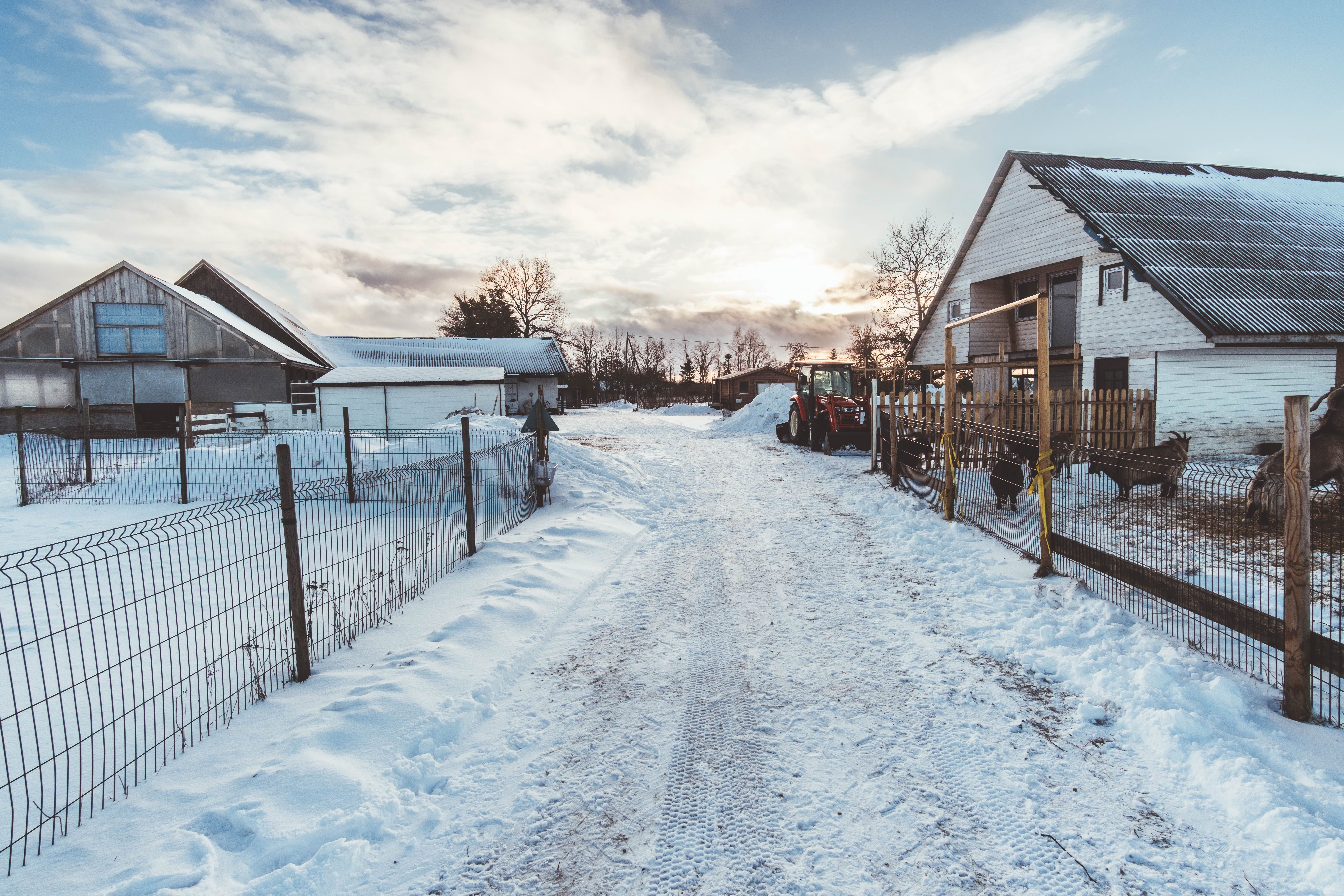 Winter Farm Scene in Pärnu County, Estonia · Free Stock Photo