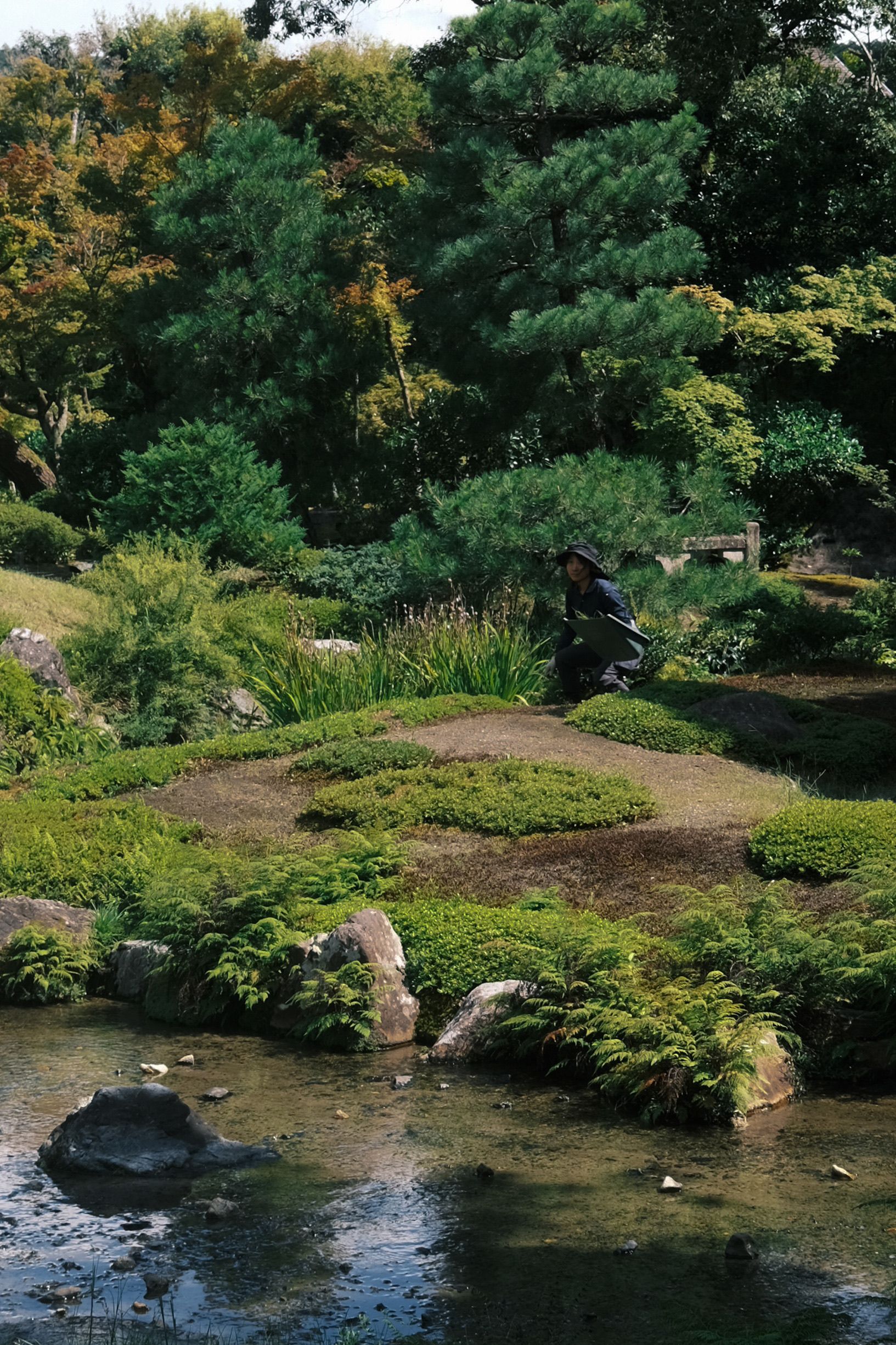 Serene Japanese Garden with Lush Greenery · Free Stock Photo