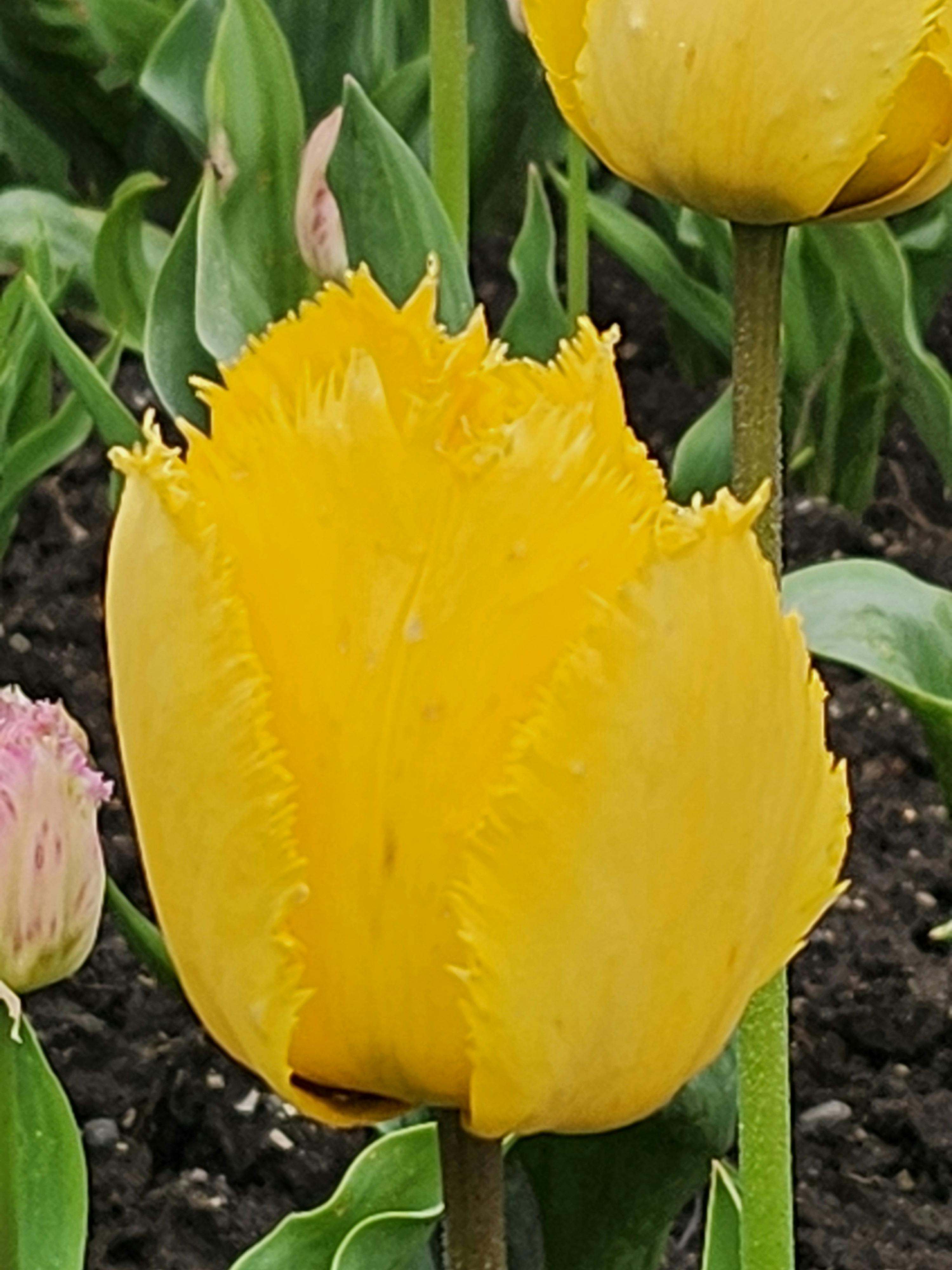 alex ohan - Photography