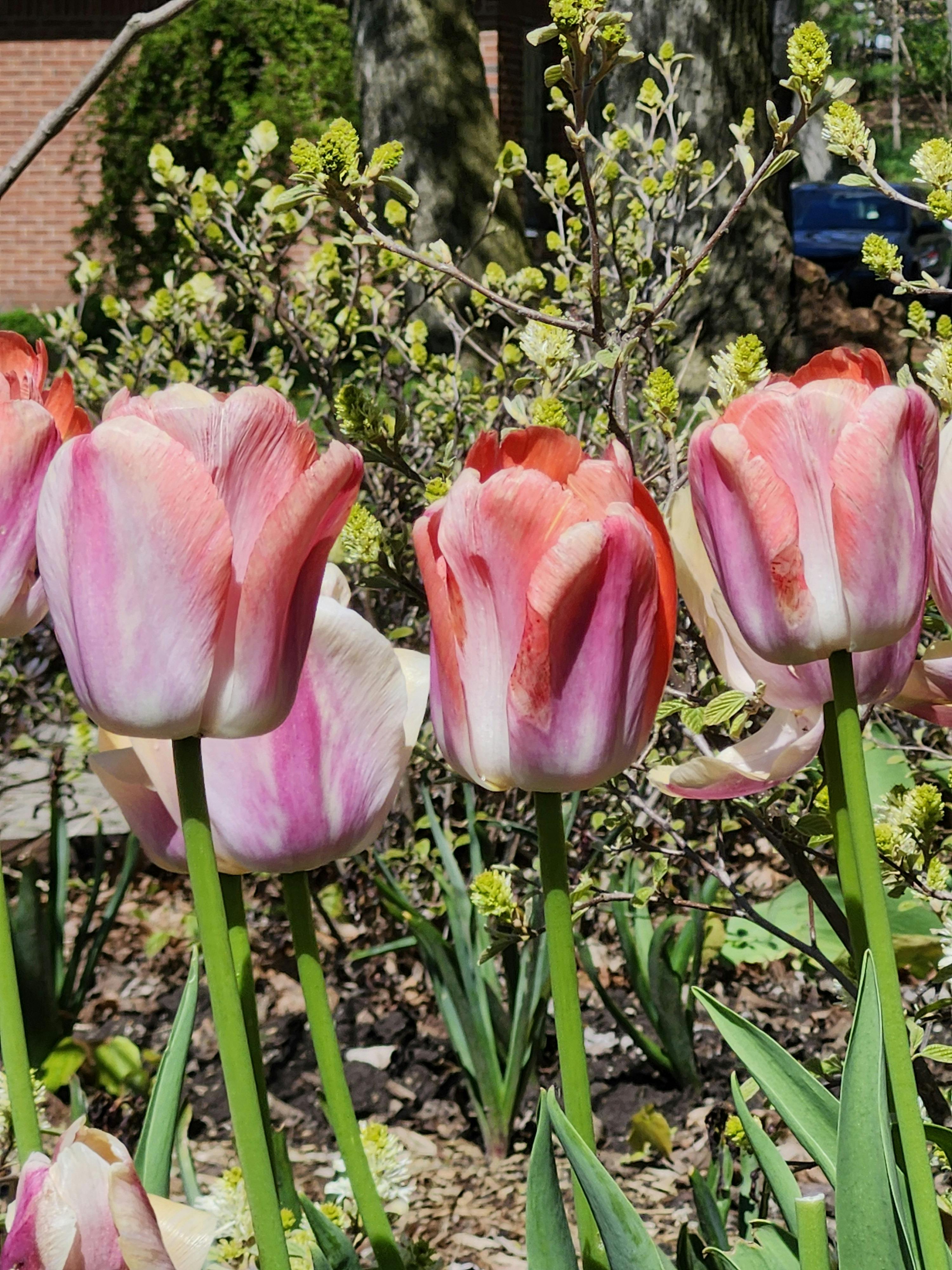 alex ohan - Photography