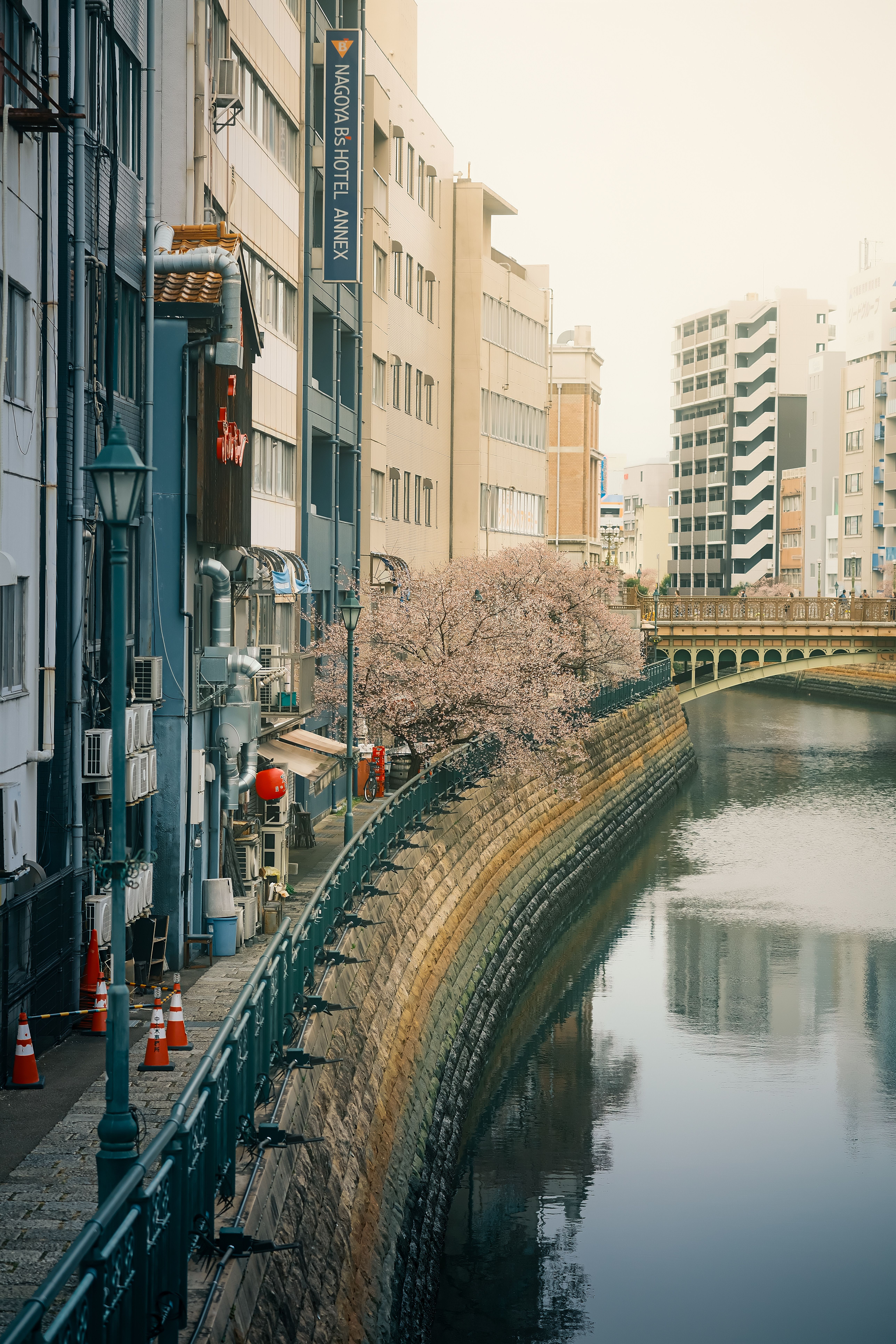 Scenic Urban River View with Cherry Blossoms · Free Stock Photo