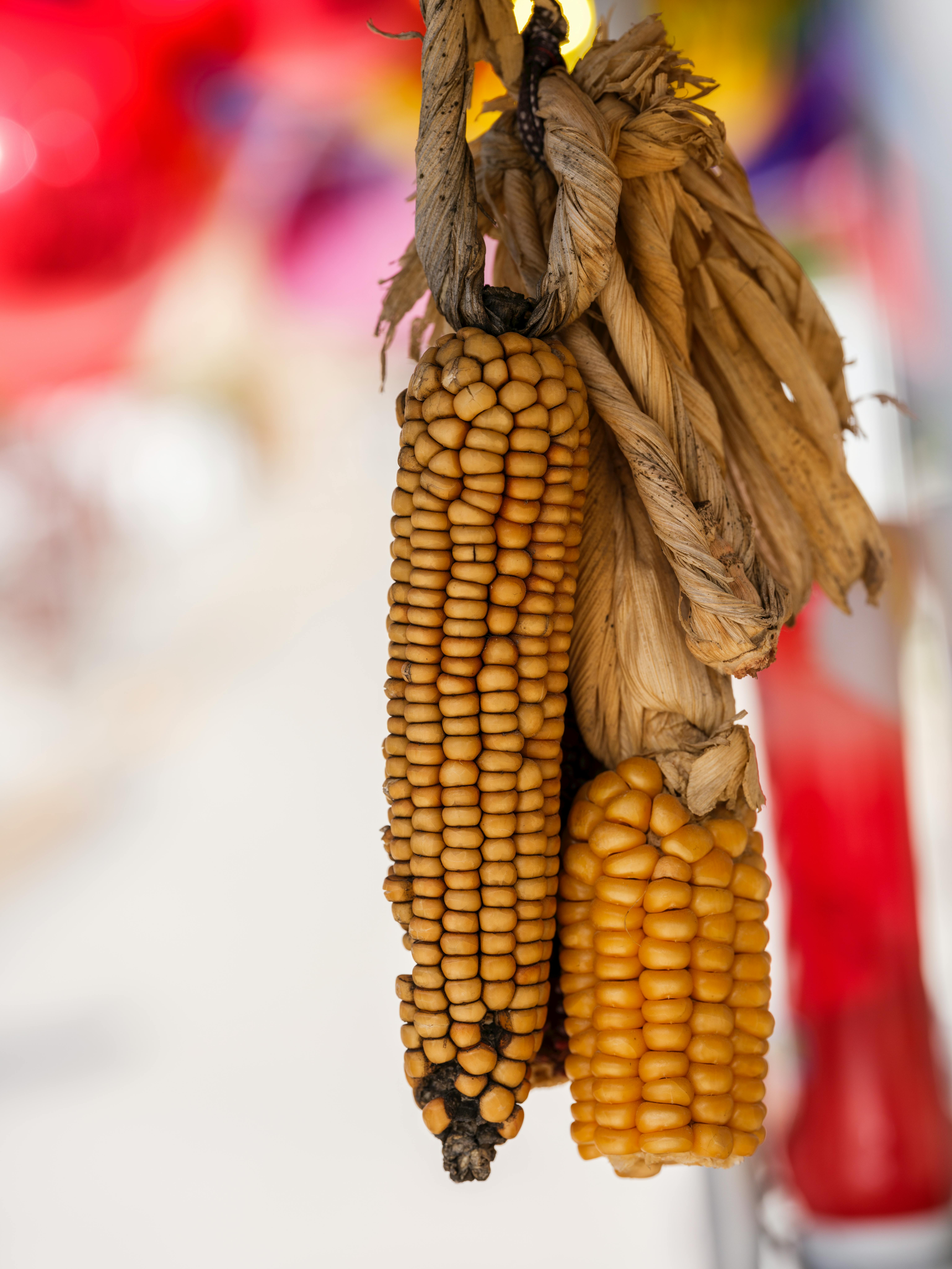 Farm Texture Photos, Download The BEST Free Farm Texture Stock Photos ...