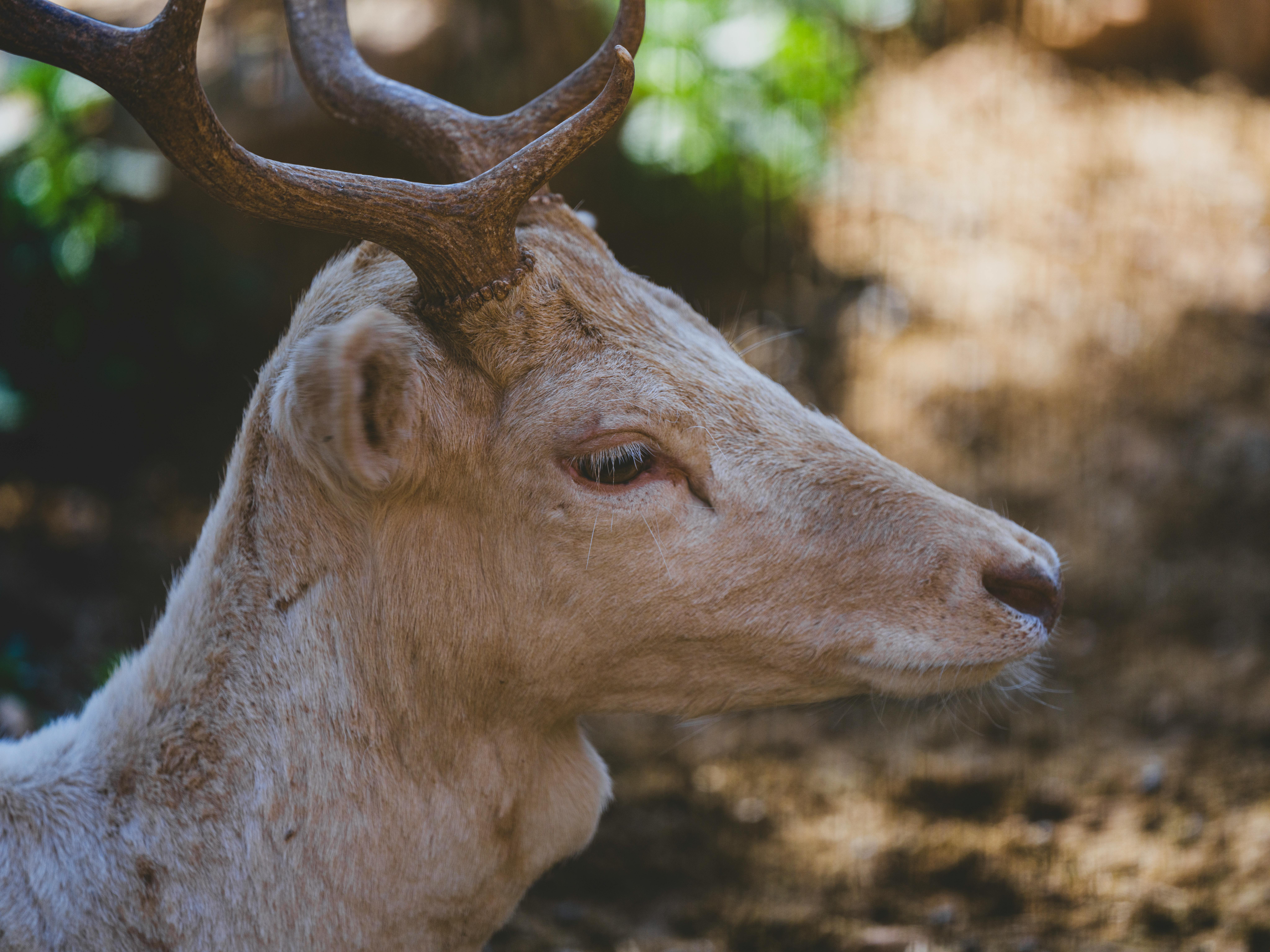 Camera Chip Background Photos, Download The BEST Free Camera Chip ...