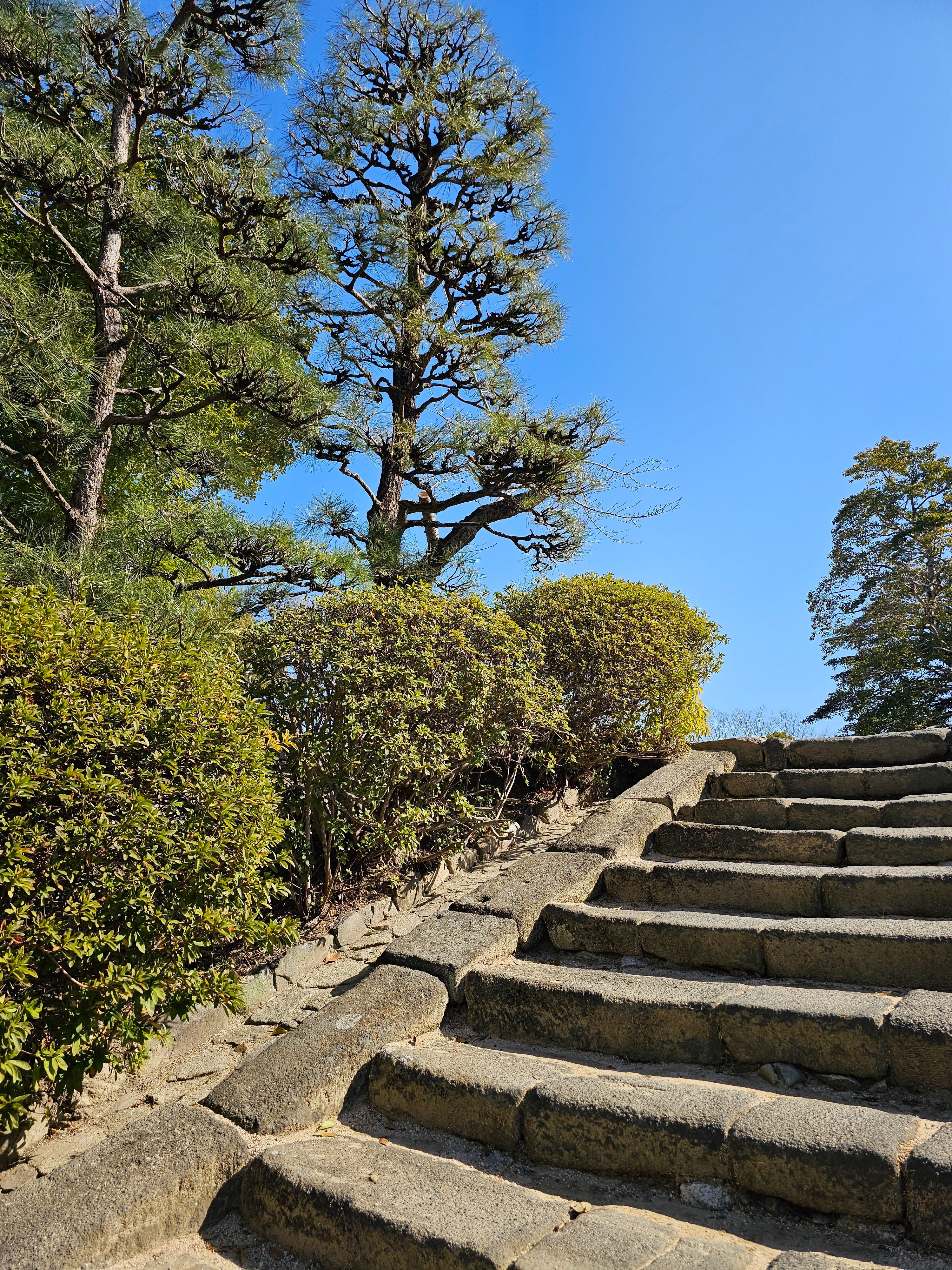 Stone Steps Amidst Lush Greenery Under Clear Sky · Free Stock Photo