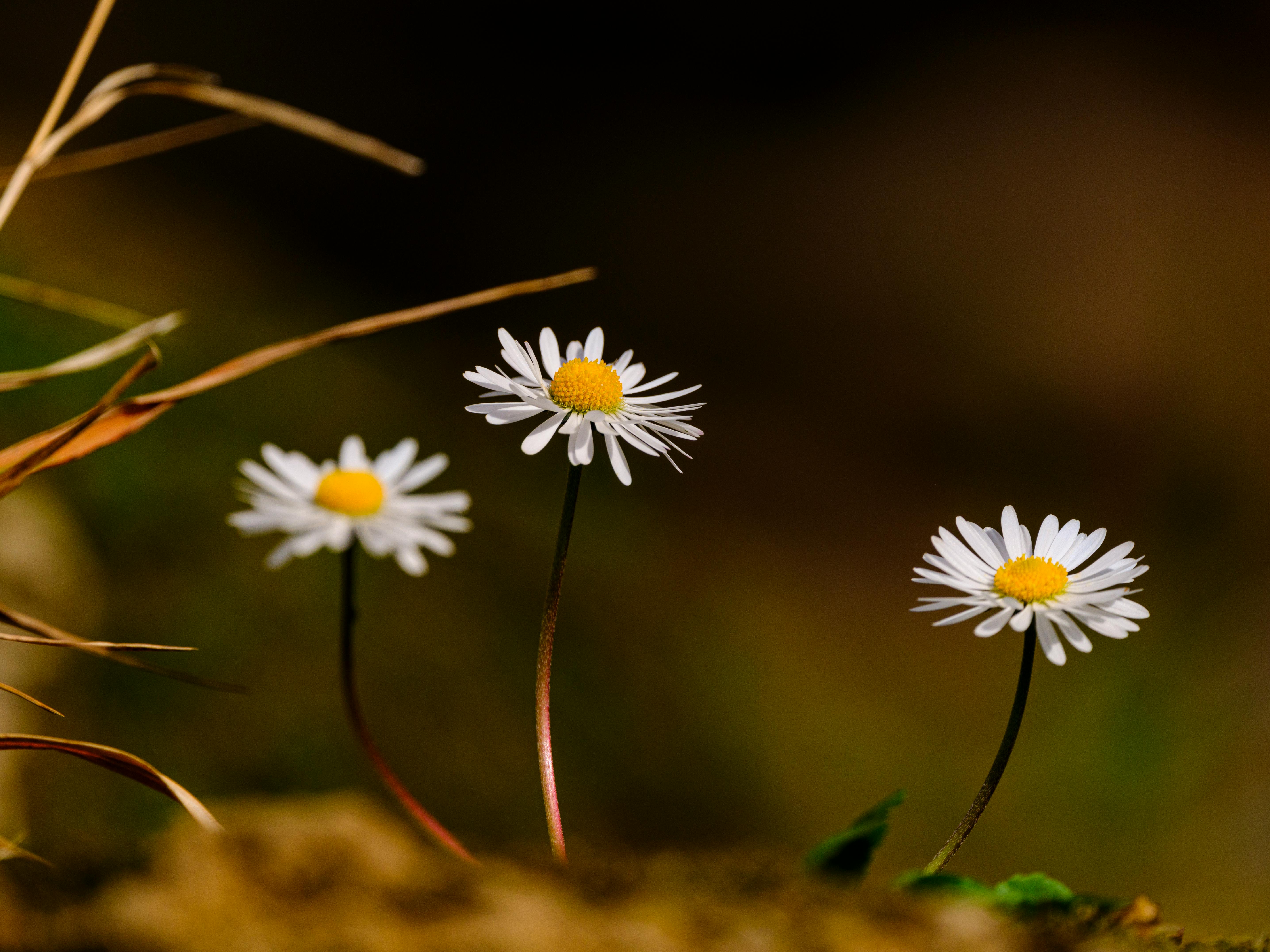 Rrsp Season Photos, Download The BEST Free Rrsp Season Stock Photos ...