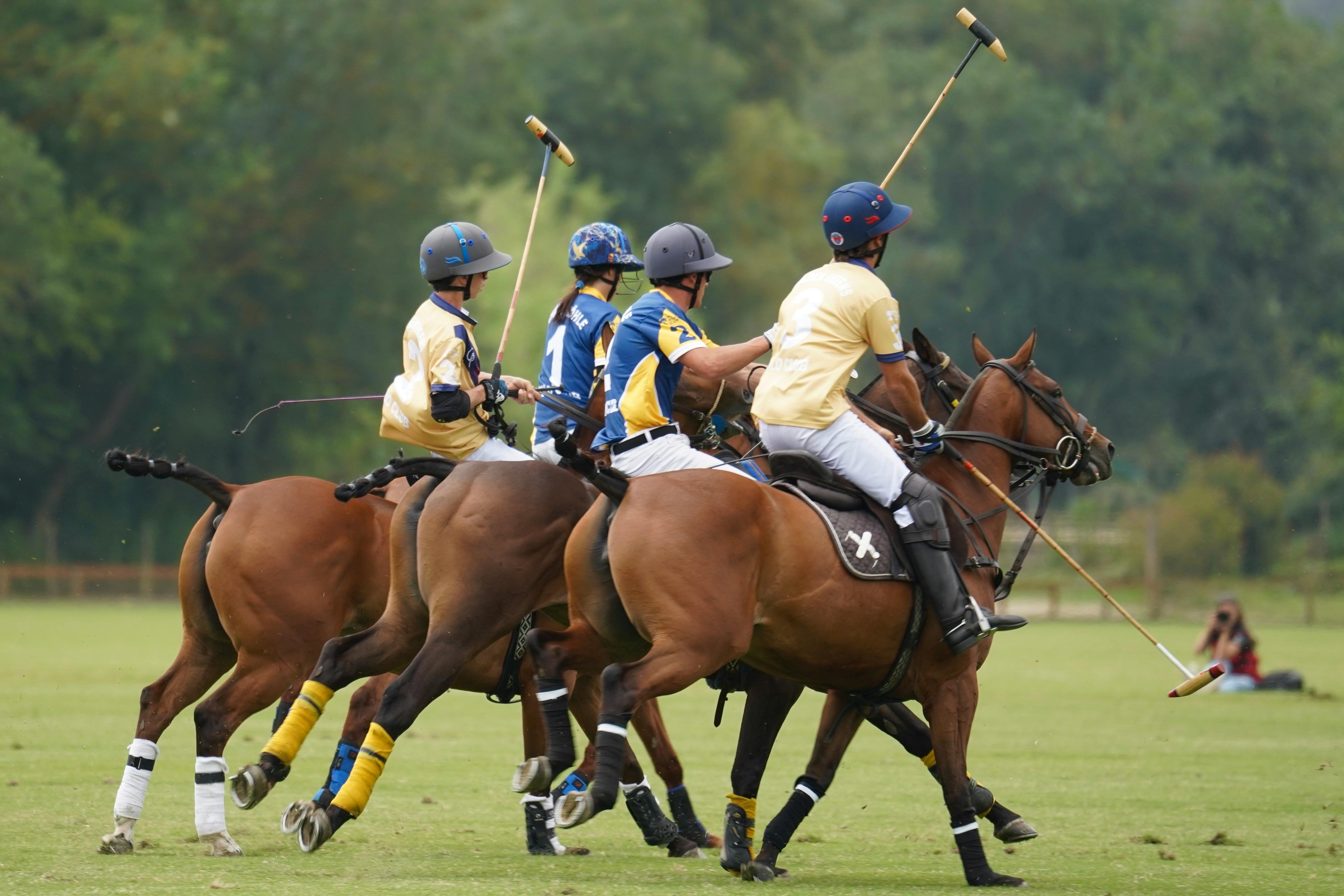 Polo Uniforms Photos, Download The BEST Free Polo Uniforms Stock Photos ...