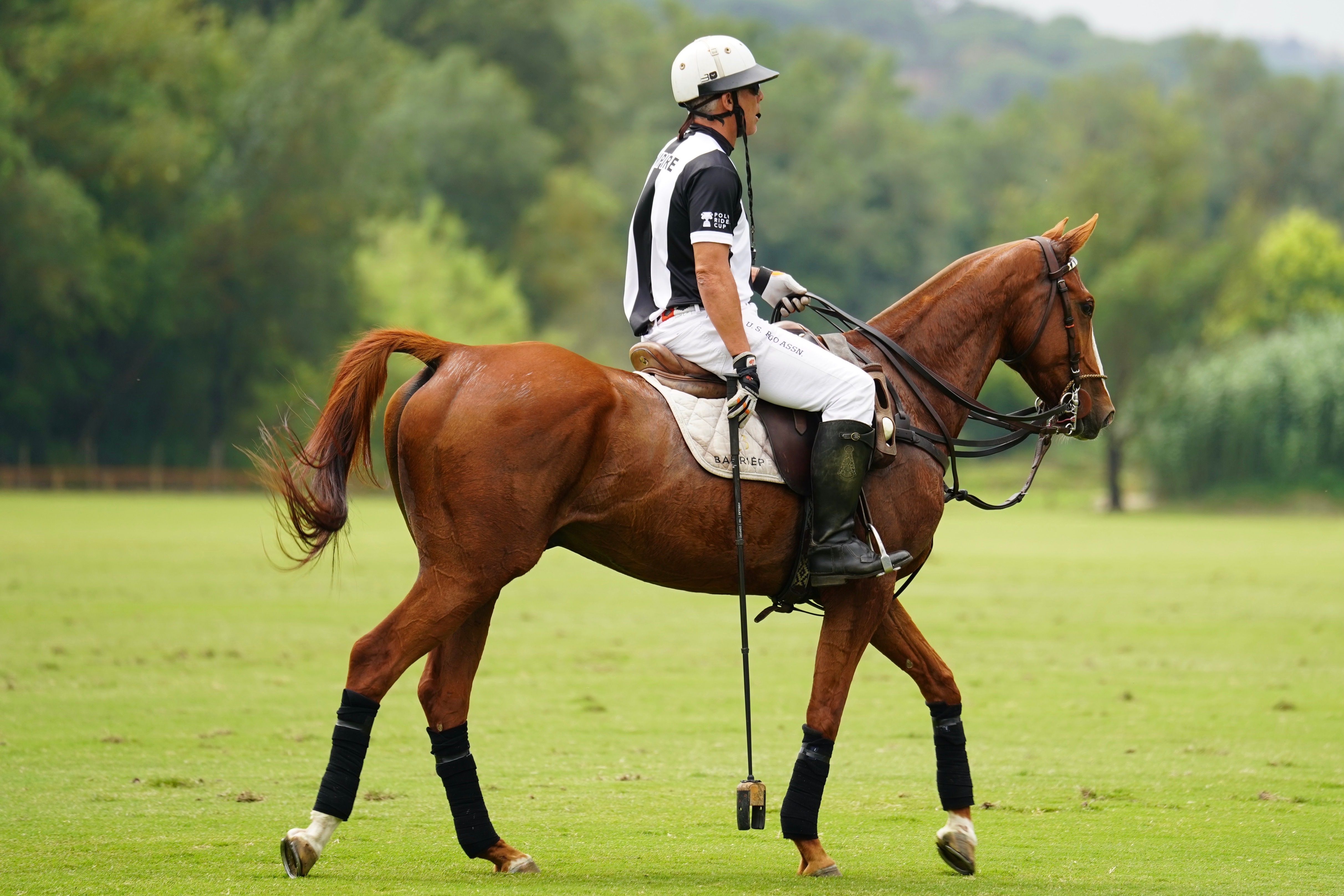 Male Polo Player Riding Horse on Field · Free Stock Photo