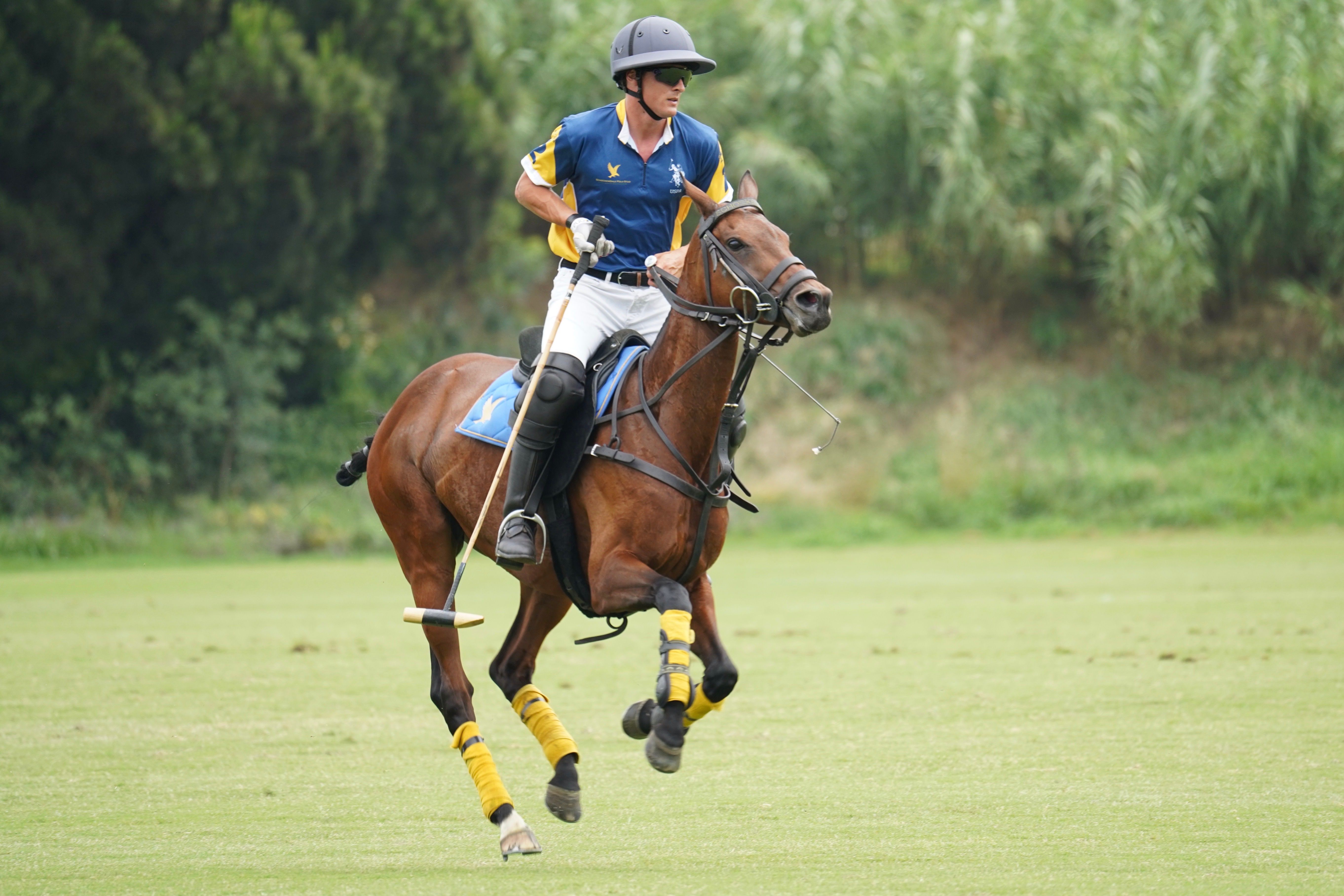 Polo Player in Action on Green Field · Free Stock Photo